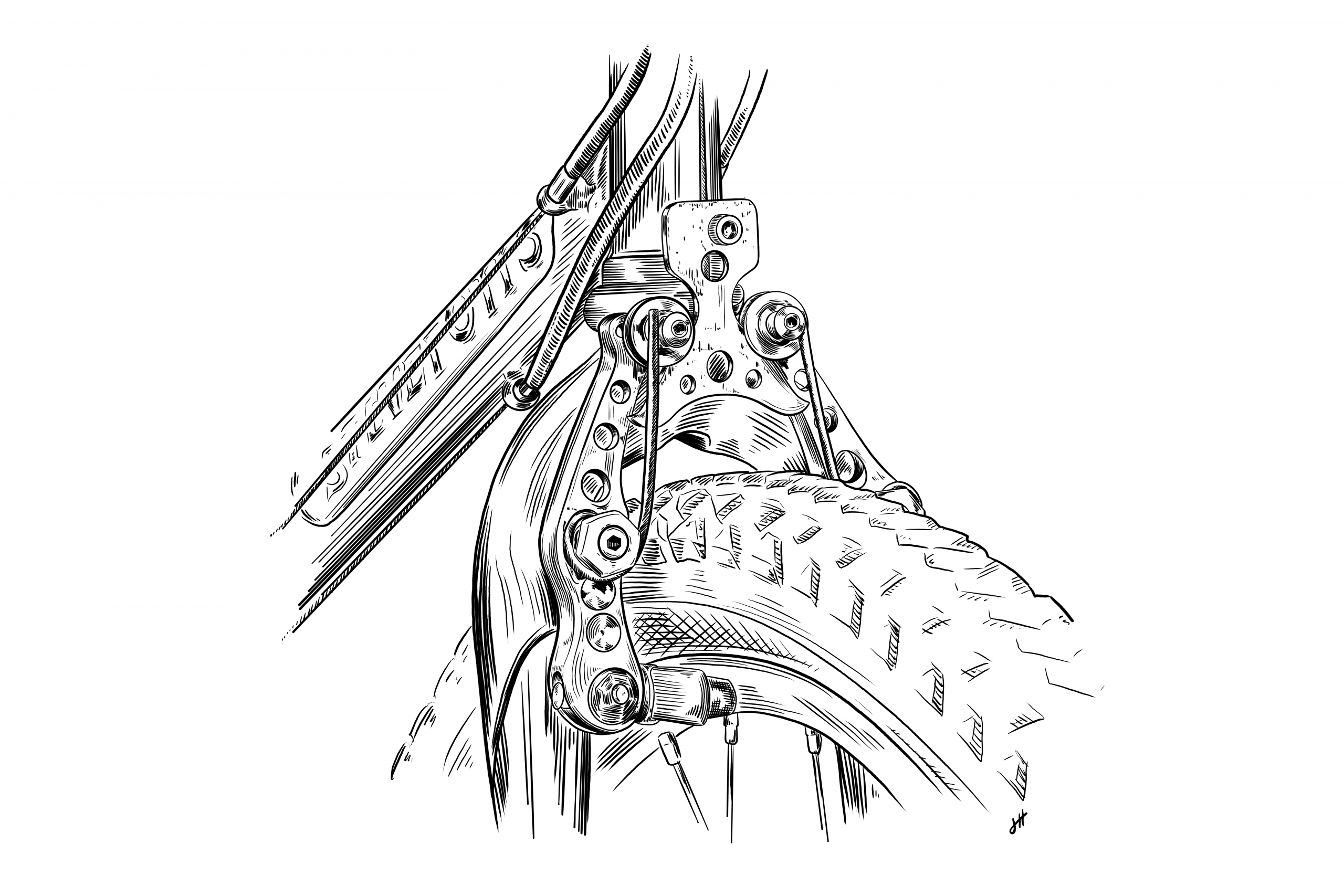 John’s Steve Potts Signature Illustrated by Høj Art | The Radavist | A ...