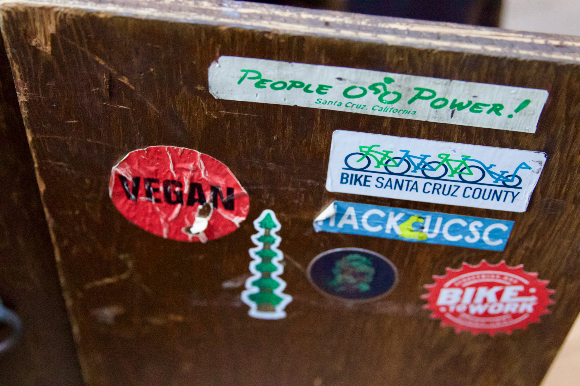 Capturing the Magic of the UCSC Bike Co-op – Finn Cunningham and Matt ...