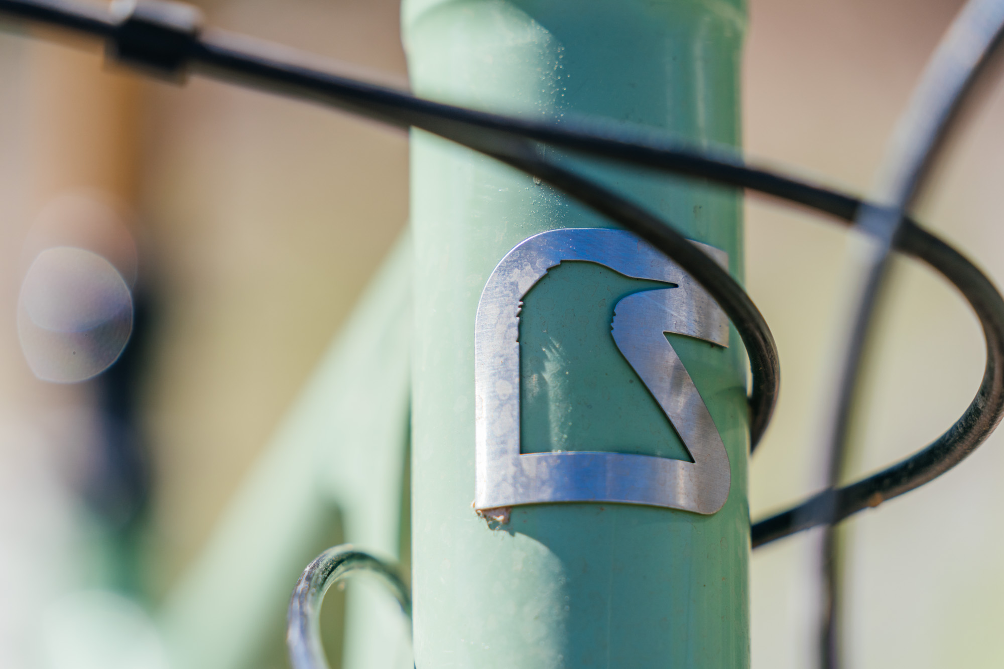 A Little Goes a Long Way: Starling Cycles Murmur V3 Review – John ...