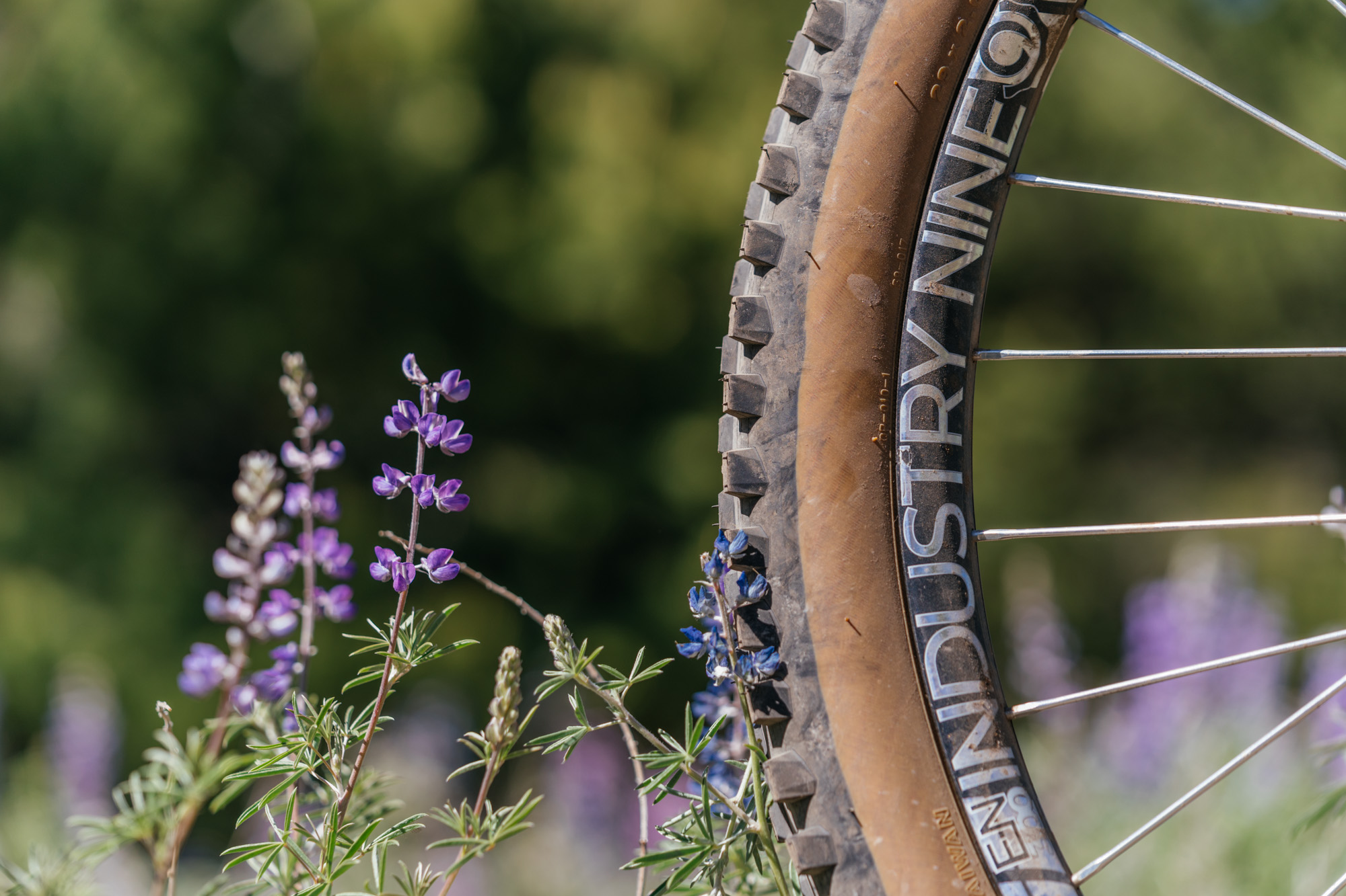 A Little Goes a Long Way: Starling Cycles Murmur V3 Review – John ...