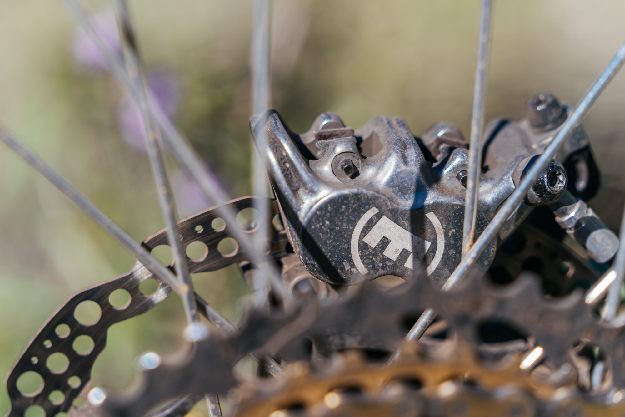 A Little Goes a Long Way: Starling Cycles Murmur V3 Review – John ...