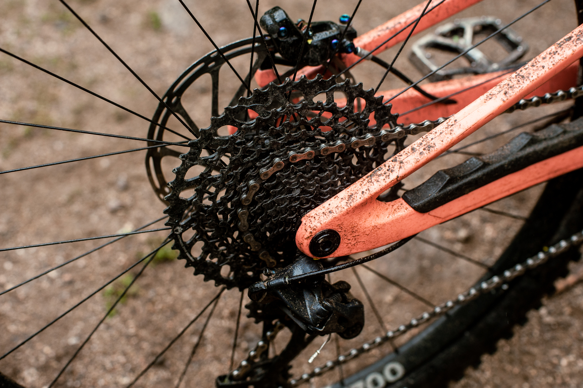 Light Sleeper: A Review of the Understated SCOR 4060 ST – Travis Engel ...