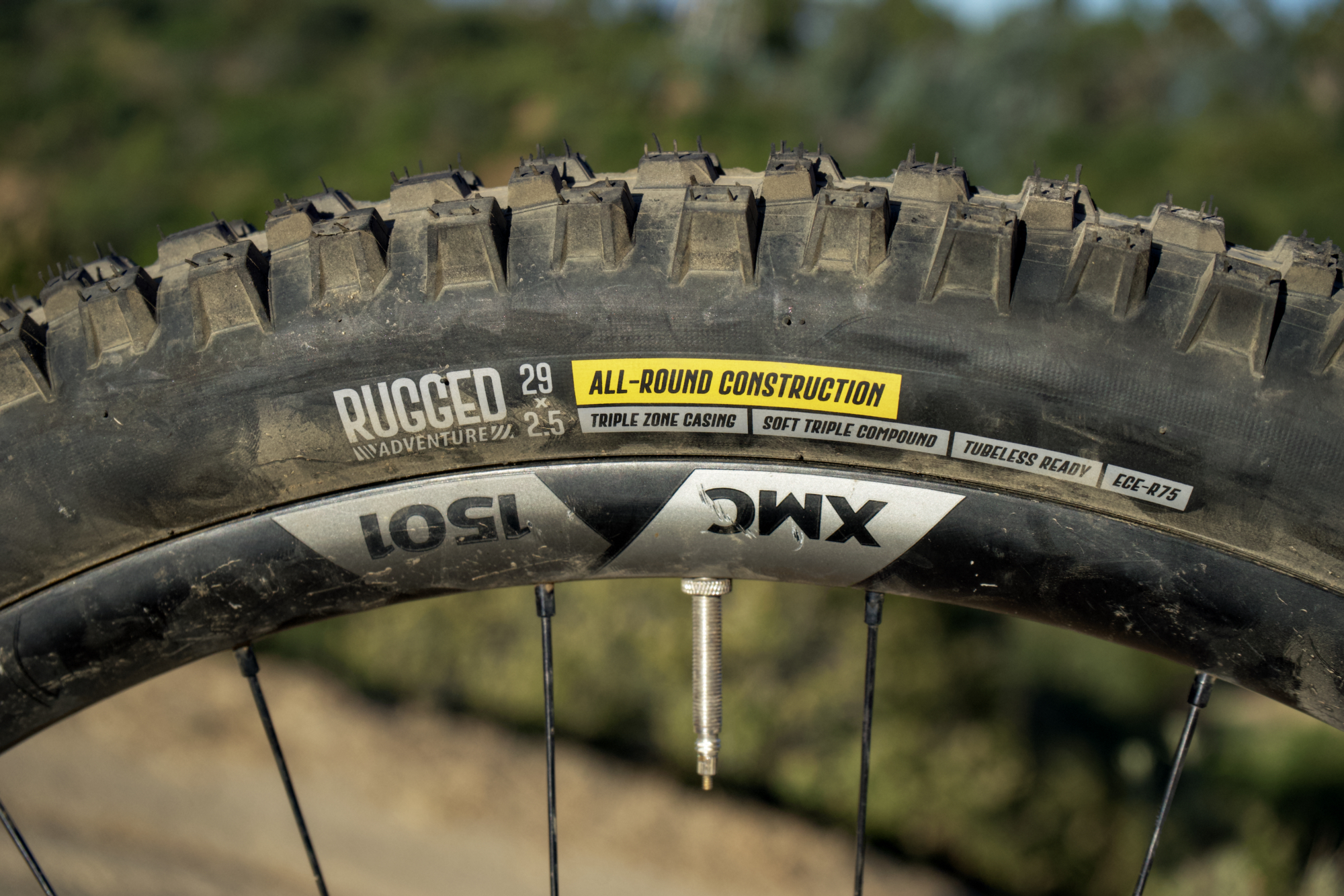 Sincerest Flattery: Reviewing Maxxis Assegai Imitiations from American ...