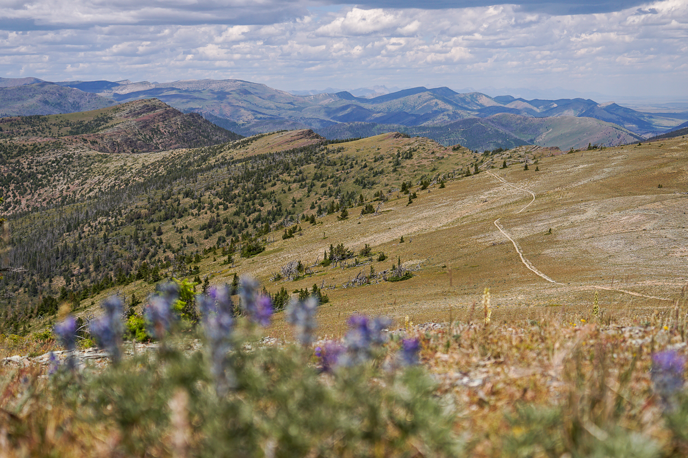 Updates From the CDT: 1,000 Miles of Singletrack Across Montana – Kurt ...