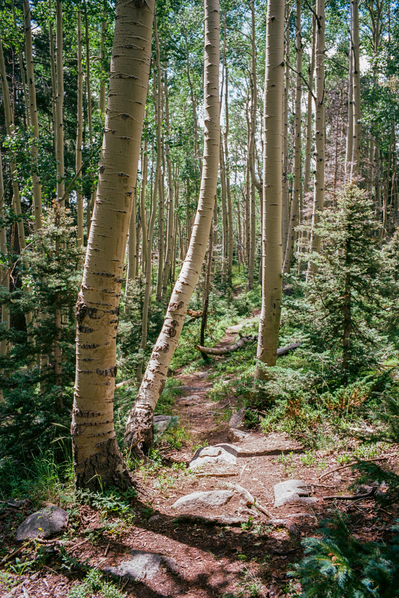 Updated 2023 Conditions: Four Rolls of Film Over Four Days – Bike ...