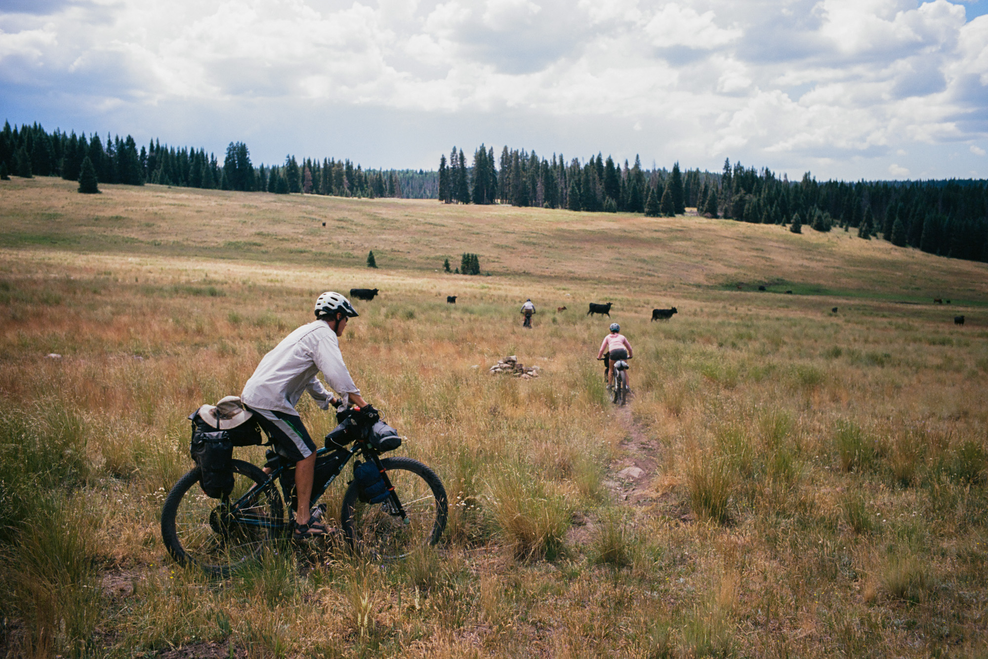 Updated 2023 Conditions: Four Rolls of Film Over Four Days – Bike ...