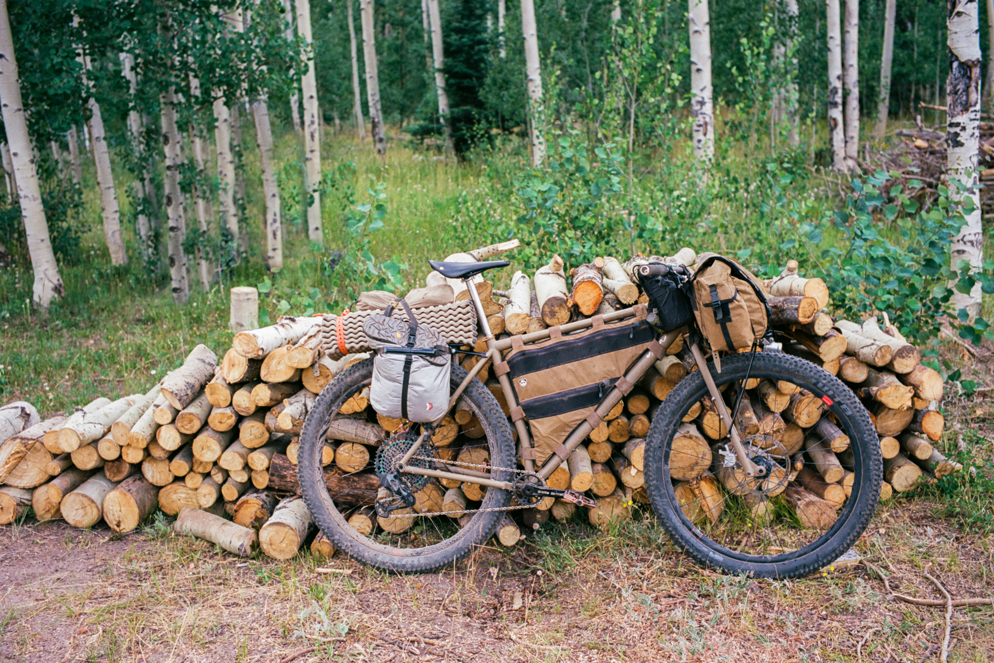 Deadfall, Cow Sh*t, and Monsoons: A Well Used Revelate Nano Panniers ...