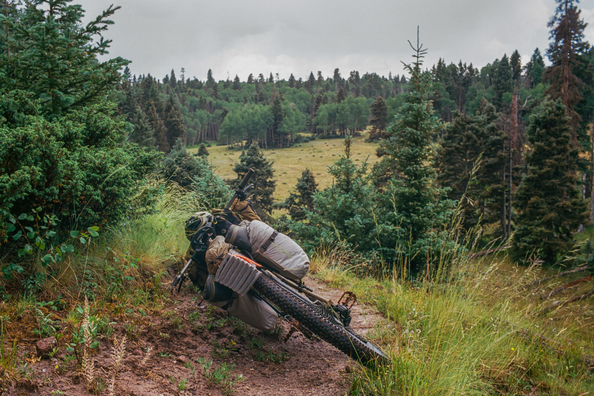 Deadfall, Cow Sh*t, and Monsoons: A Well Used Revelate Nano Panniers ...