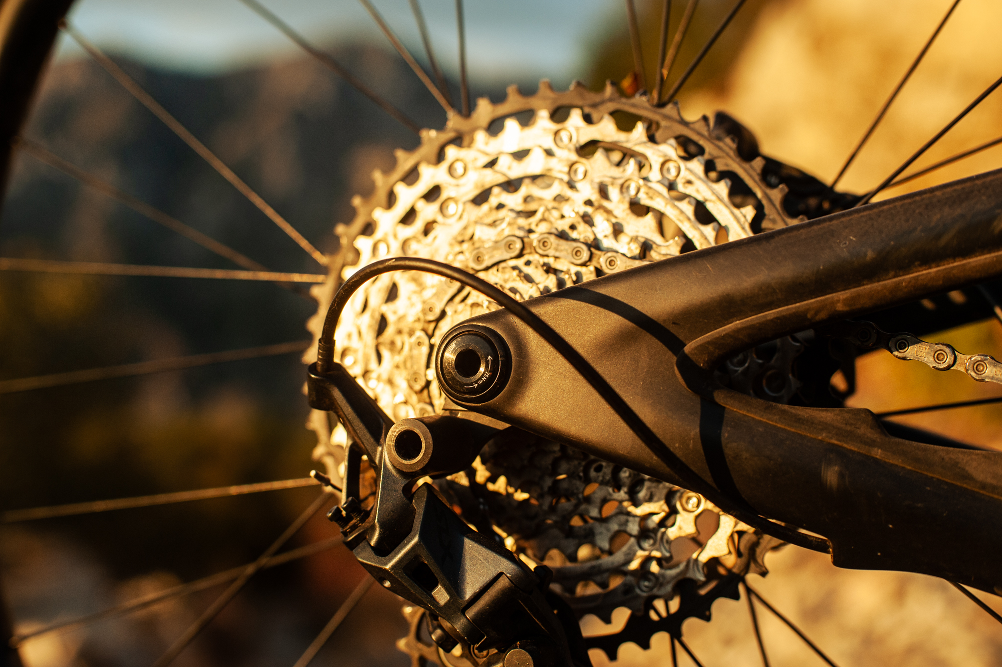 Self-Motivated Masher: A Yeti SB120 Review – Travis Engel | The ...