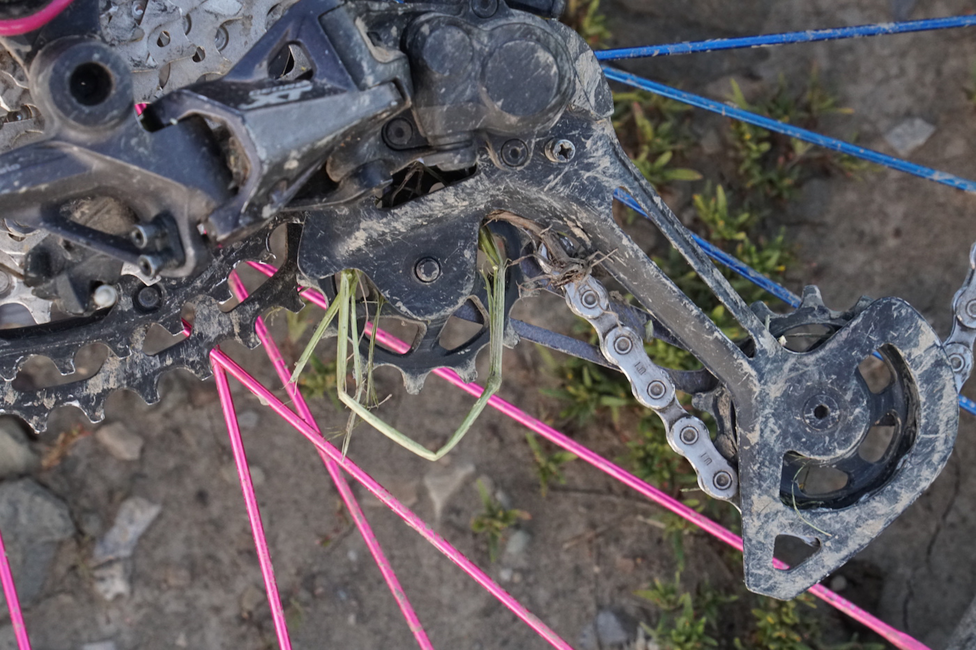 Updates From the CDT Part 3; Wyoming – The Easiest and Toughest of ...