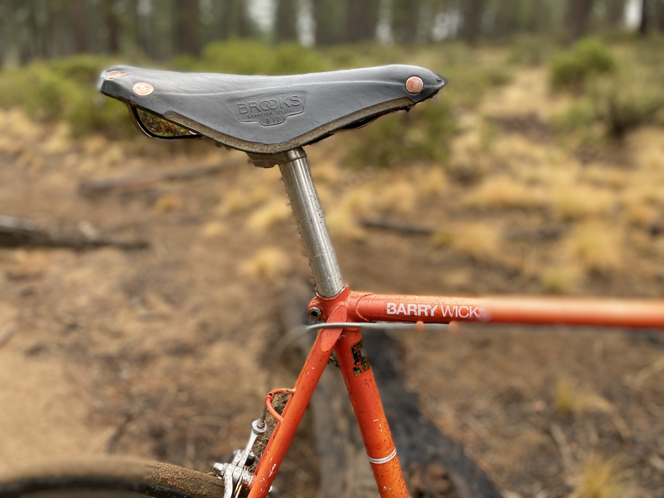 Readers’ Rides: Barry Wicks Underbiking World Championships Raleigh ...