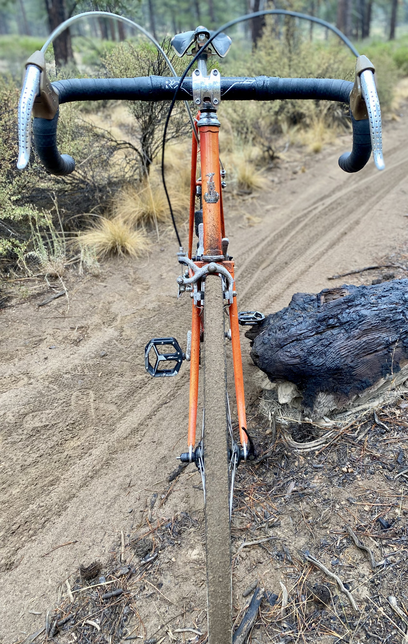 Readers’ Rides: Barry Wicks Underbiking World Championships Raleigh ...