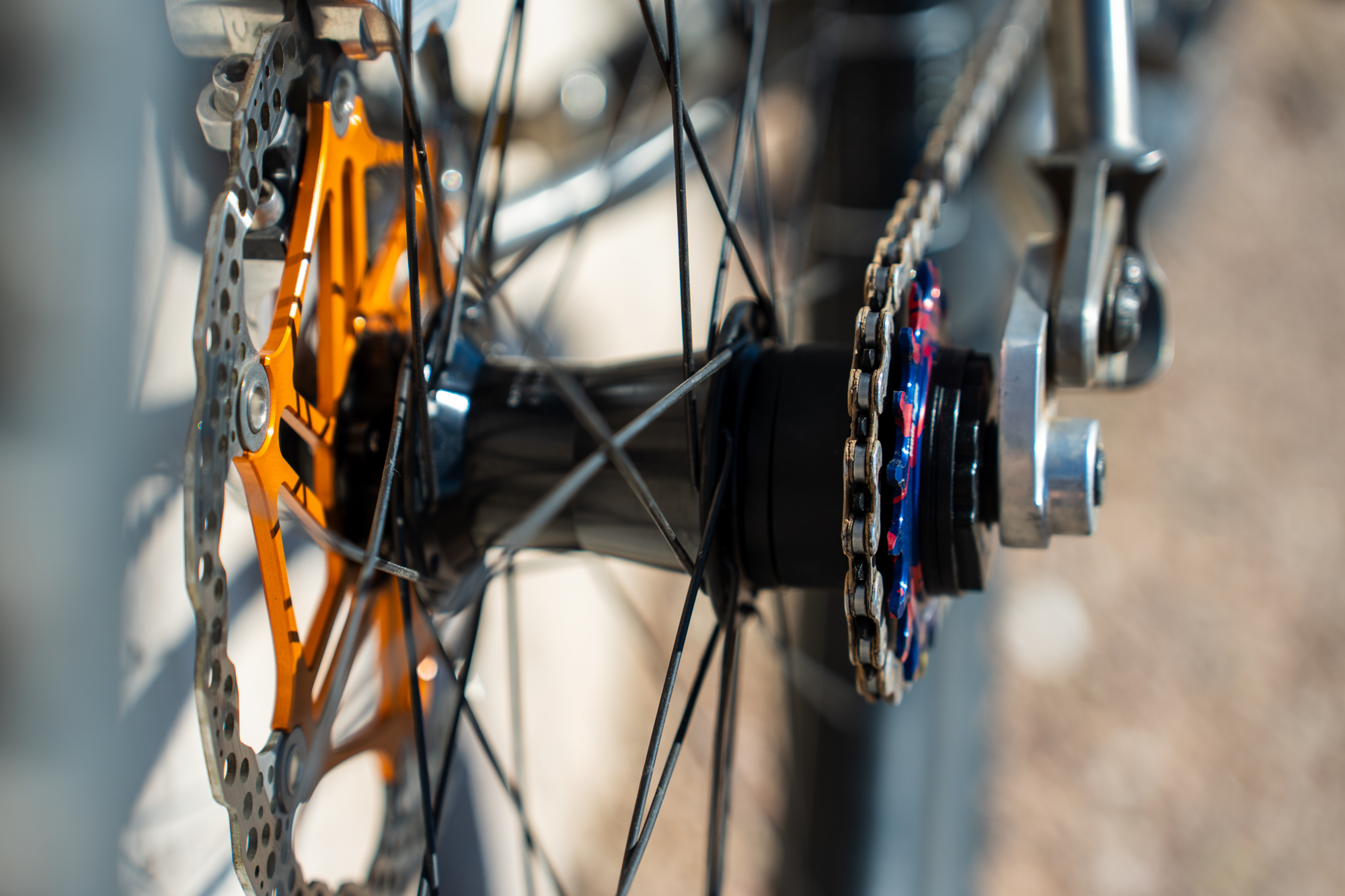 Single or Dingle? A Wheels Manufacturing SOLO-XD Single Speed ...