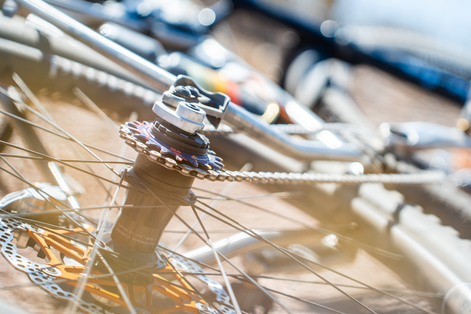 Single or Dingle? A Wheels Manufacturing SOLO-XD Single Speed ...