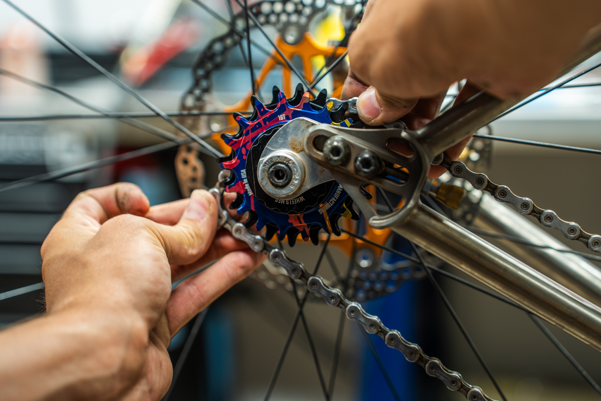 Single or Dingle? A Wheels Manufacturing SOLO-XD Single Speed ...