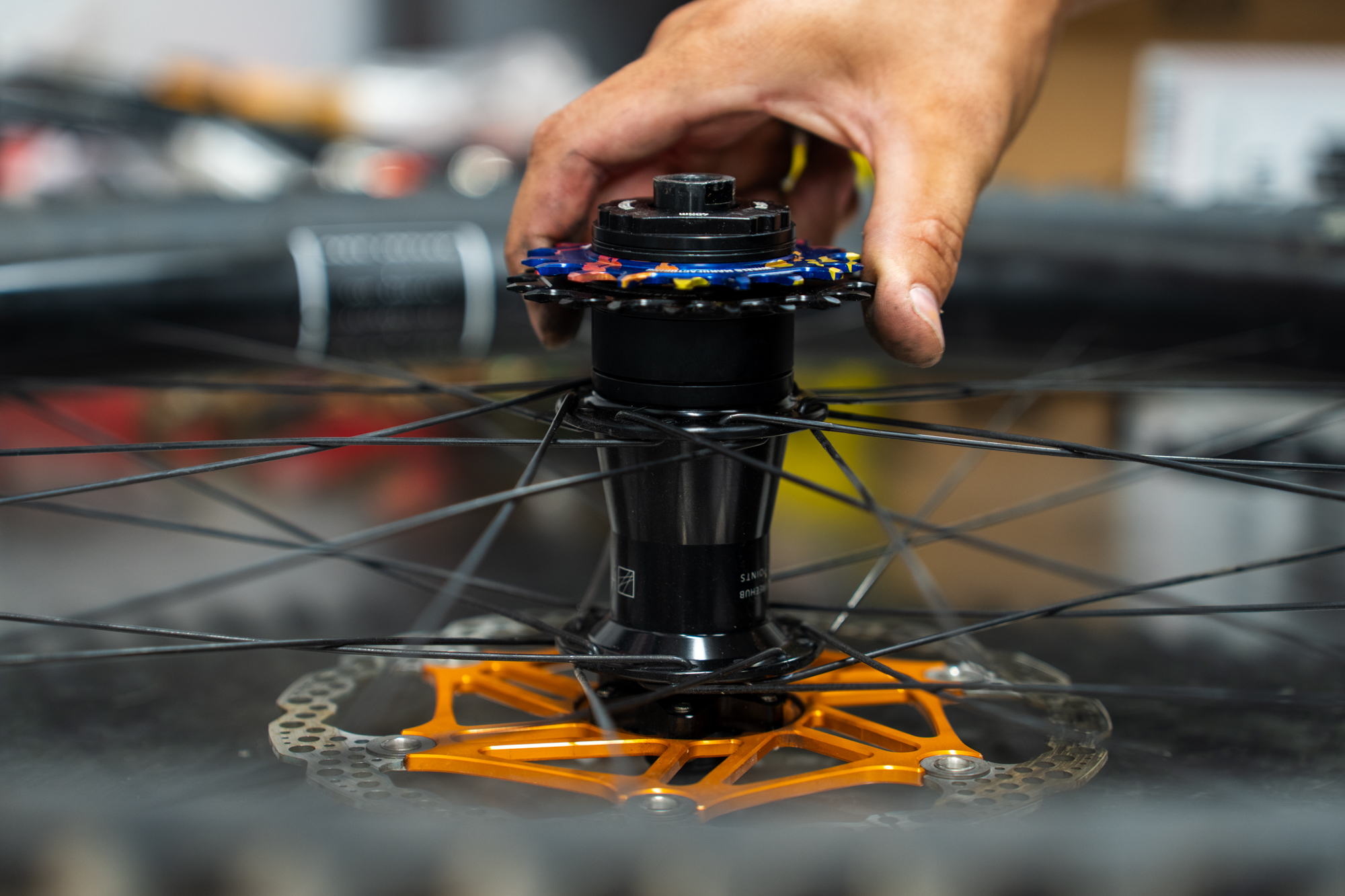 Single or Dingle? A Wheels Manufacturing SOLO-XD Single Speed ...