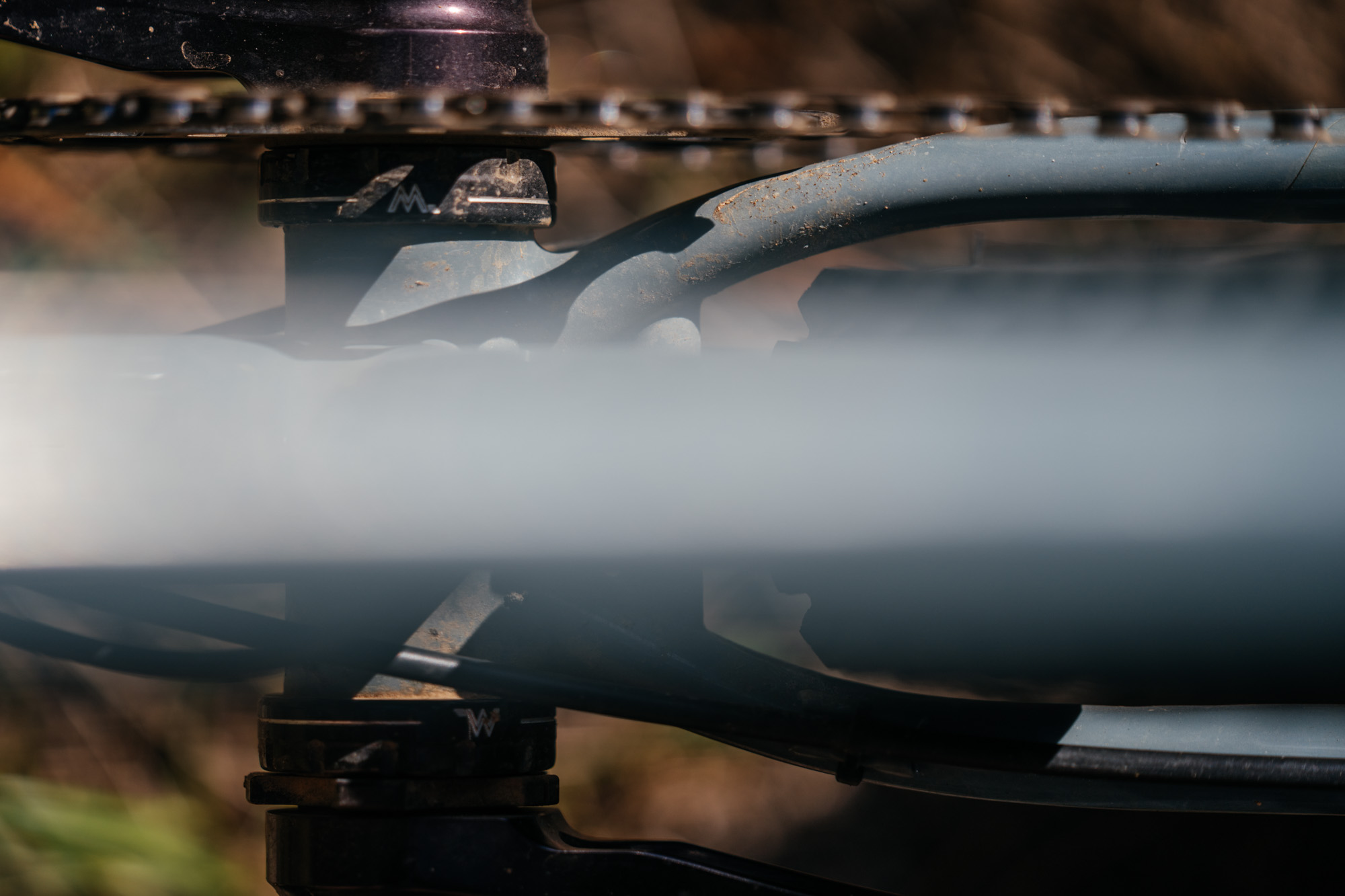 Steve Rex and His Rex Cycles FIllet Brazed Hardtail 29er – john watson | The Radavist | A group ...