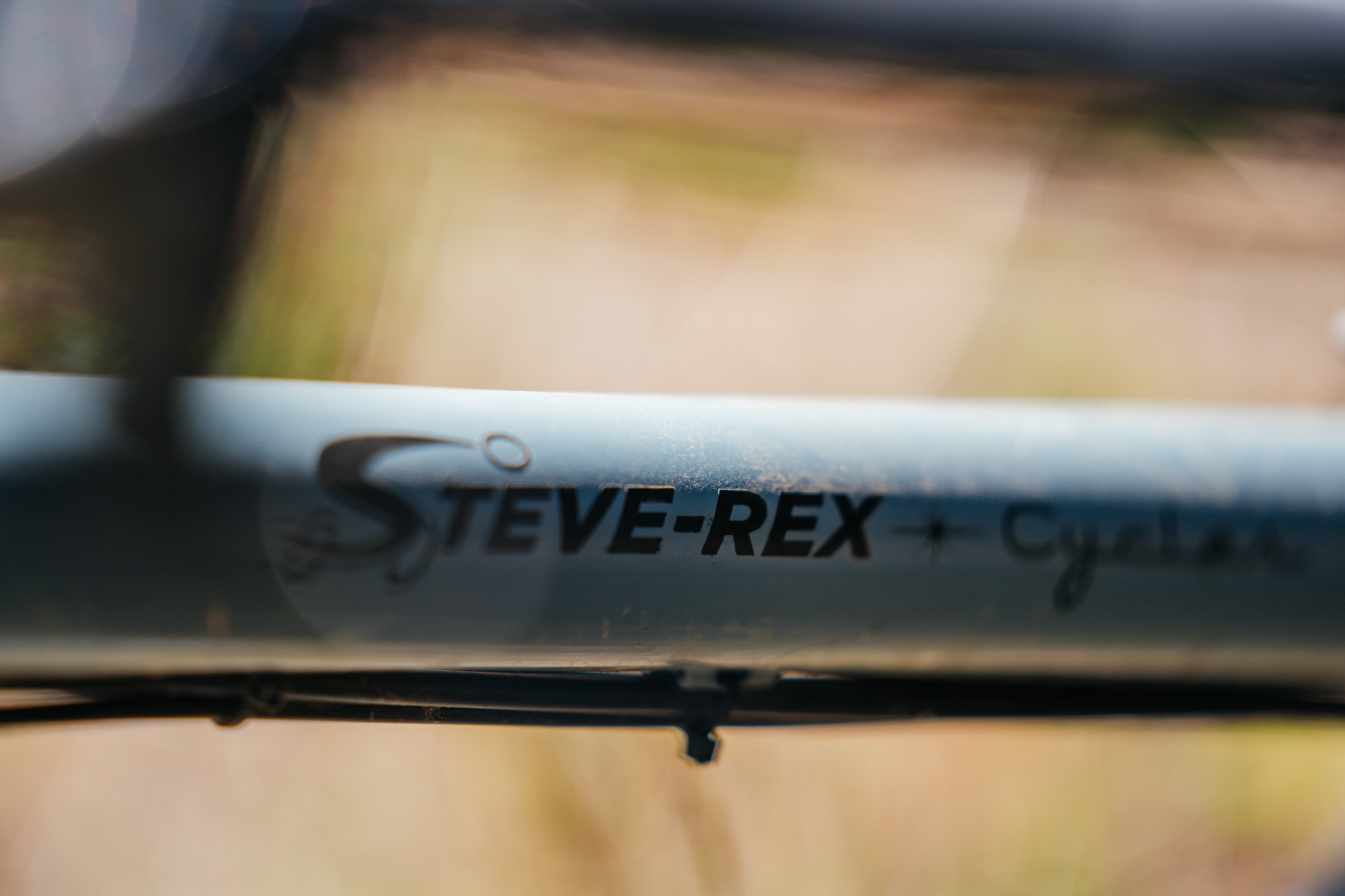 Steve Rex and His Rex Cycles FIllet Brazed Hardtail 29er – john watson | The Radavist | A group ...