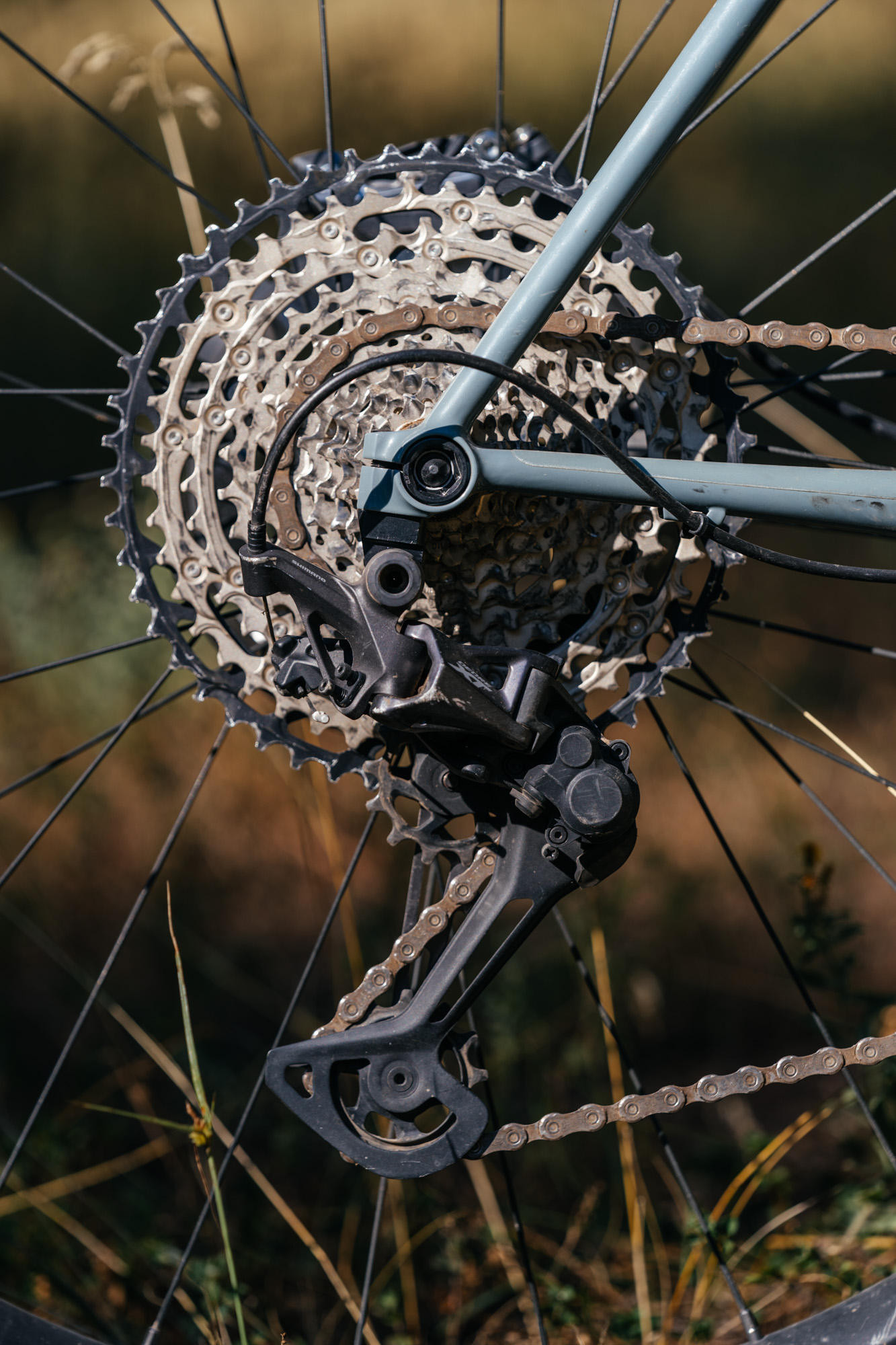 Steve Rex and His Rex Cycles FIllet Brazed Hardtail 29er – john watson ...