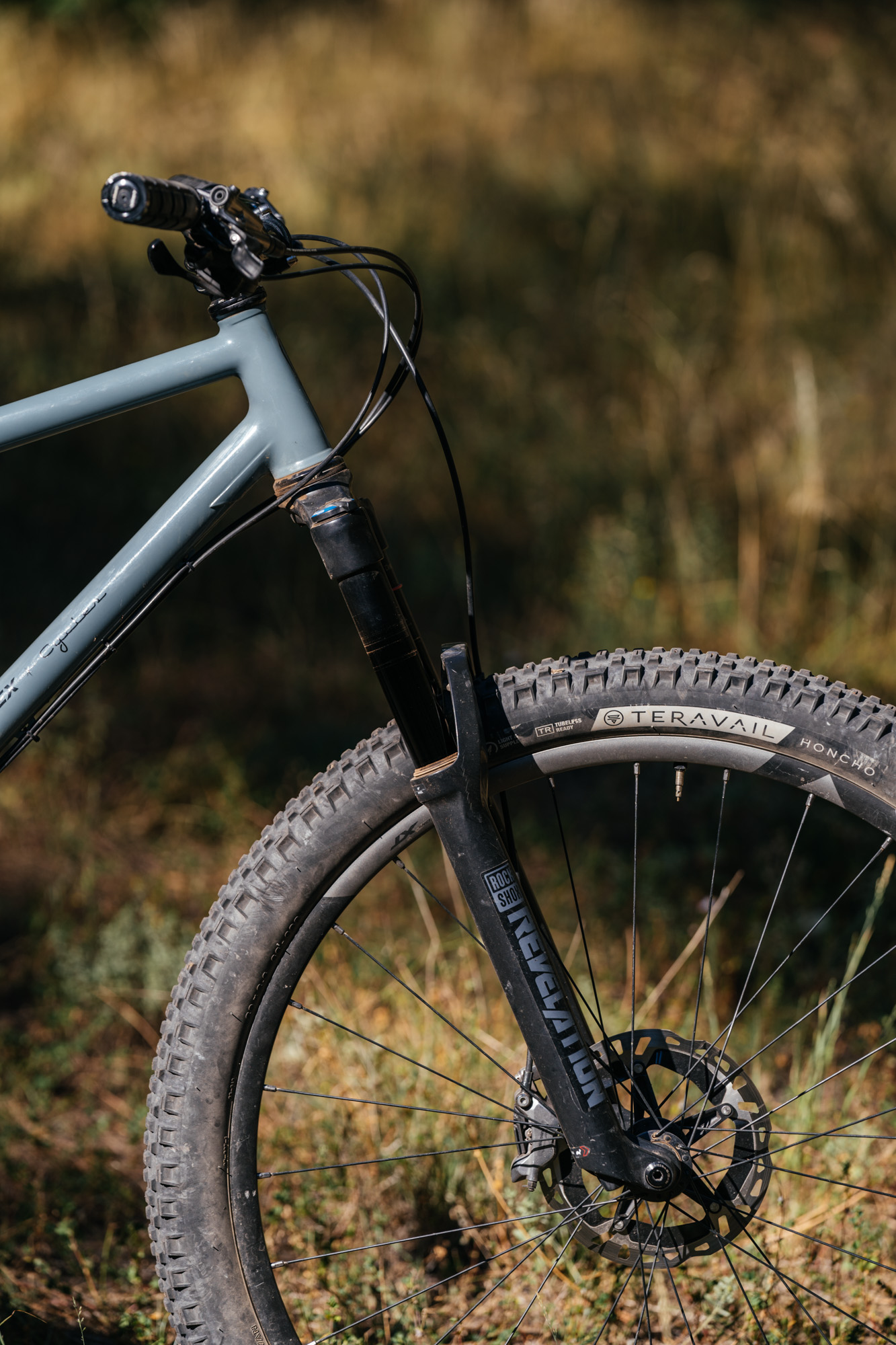 Steve Rex and His Rex Cycles FIllet Brazed Hardtail 29er – john watson ...