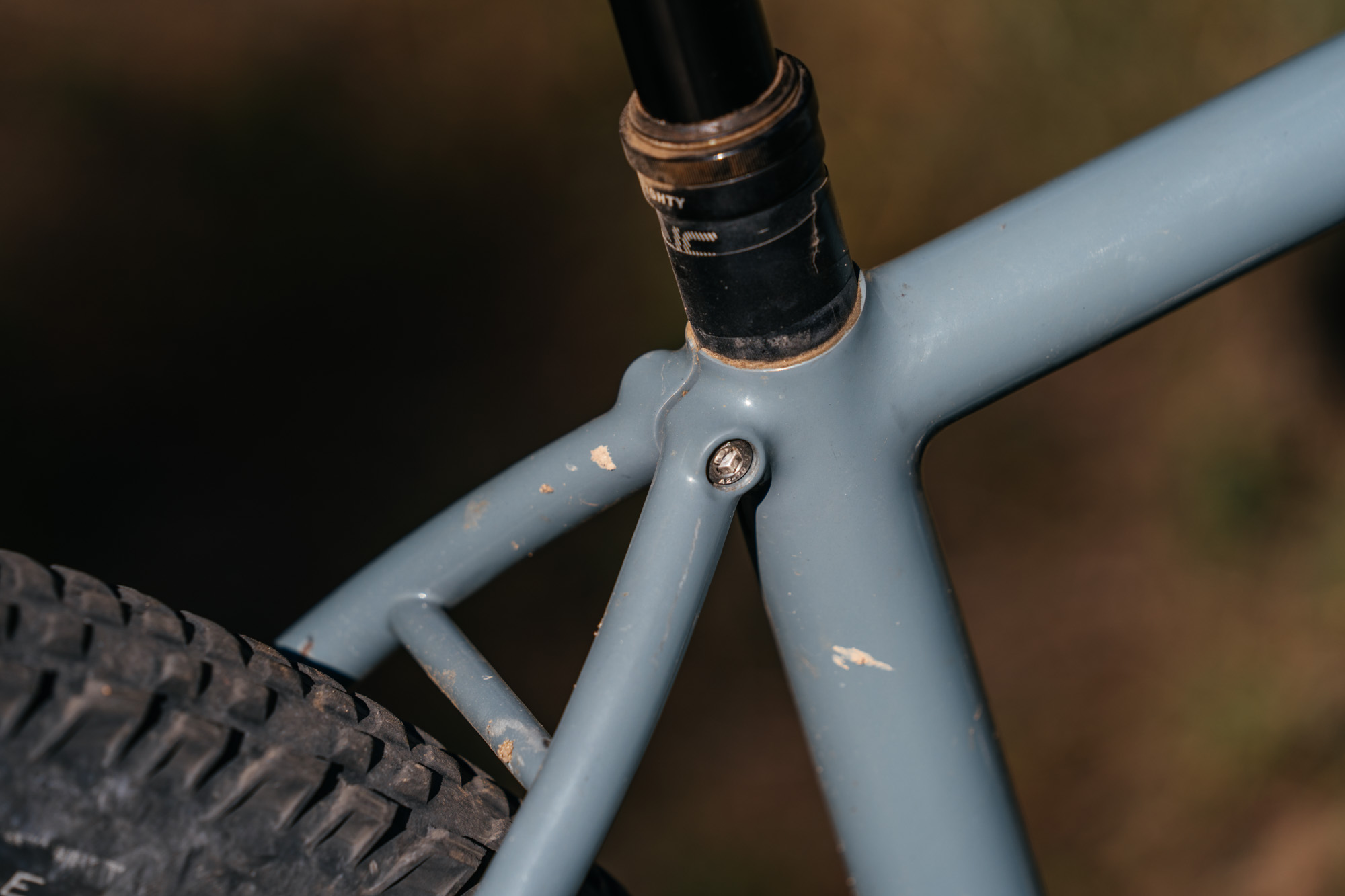 Steve Rex and His Rex Cycles FIllet Brazed Hardtail 29er – john watson ...