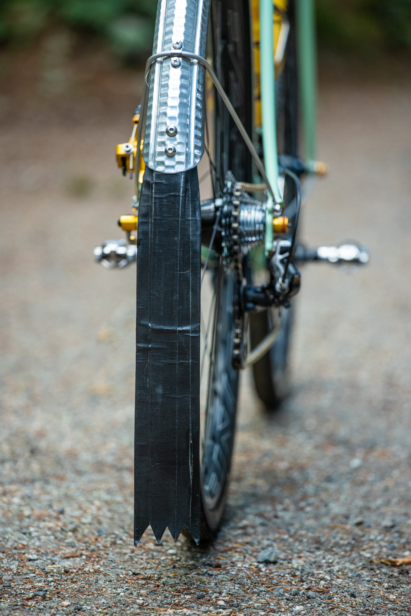 The Tale of the Humongous Rock Lobster – Morgan Taylor | The Radavist ...