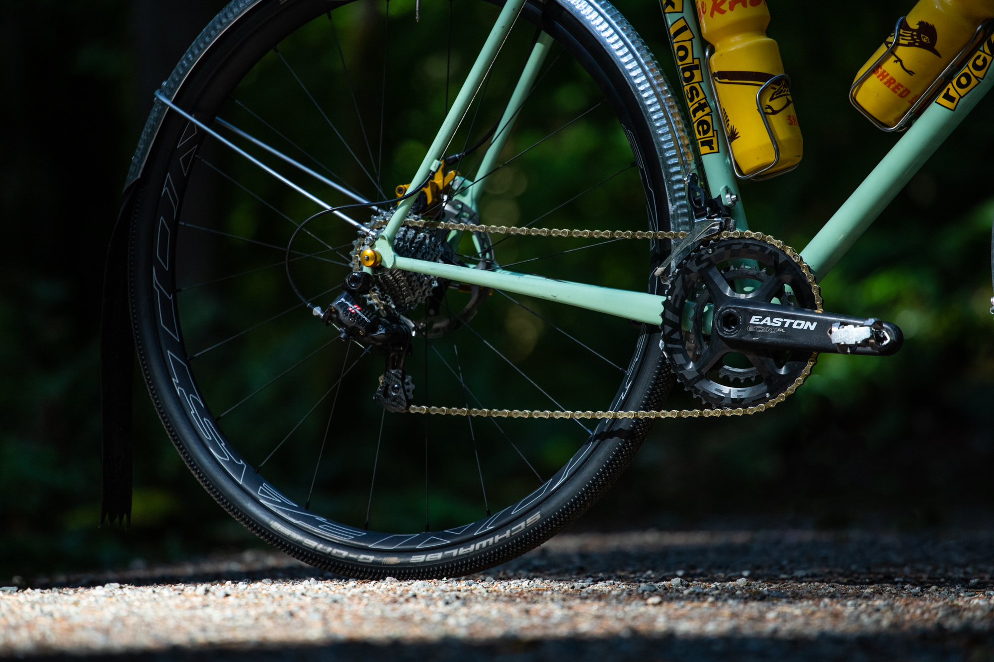 The Tale of the Humongous Rock Lobster – Morgan Taylor | The Radavist ...