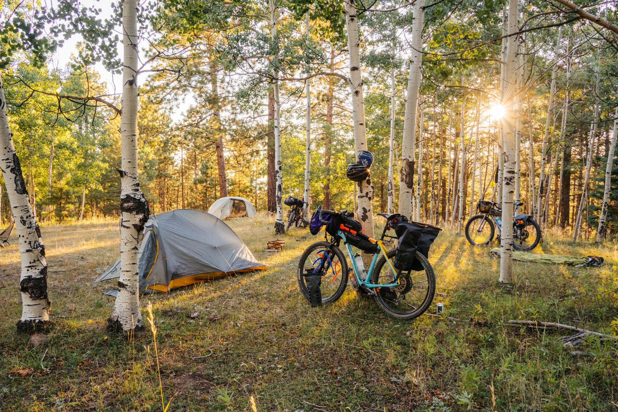 The Radavist is Once Again an Independent Website – john watson | The ...