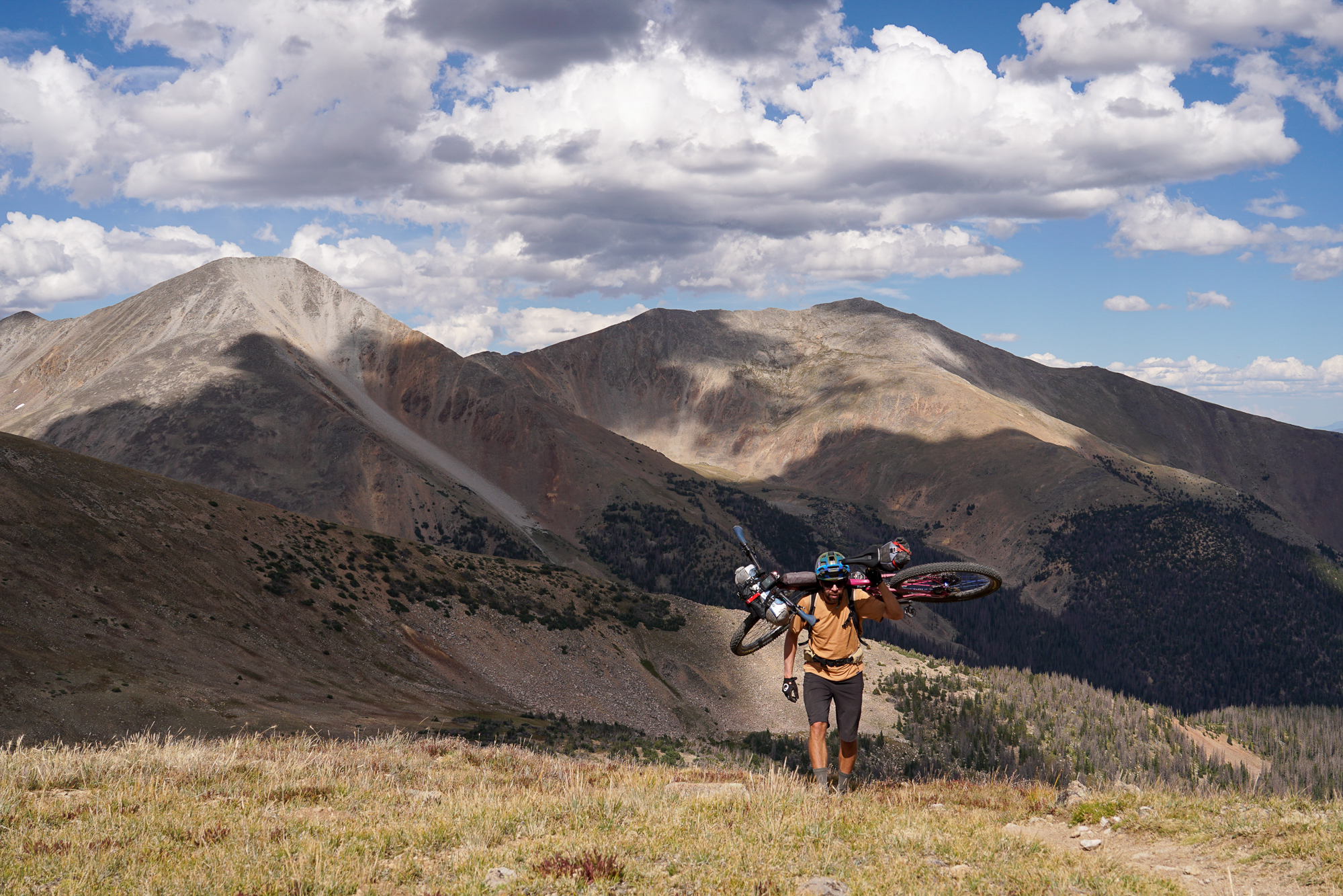 Radar Roundup: Starling Adds UDH Compatibility, Fern Illusion Grill ...