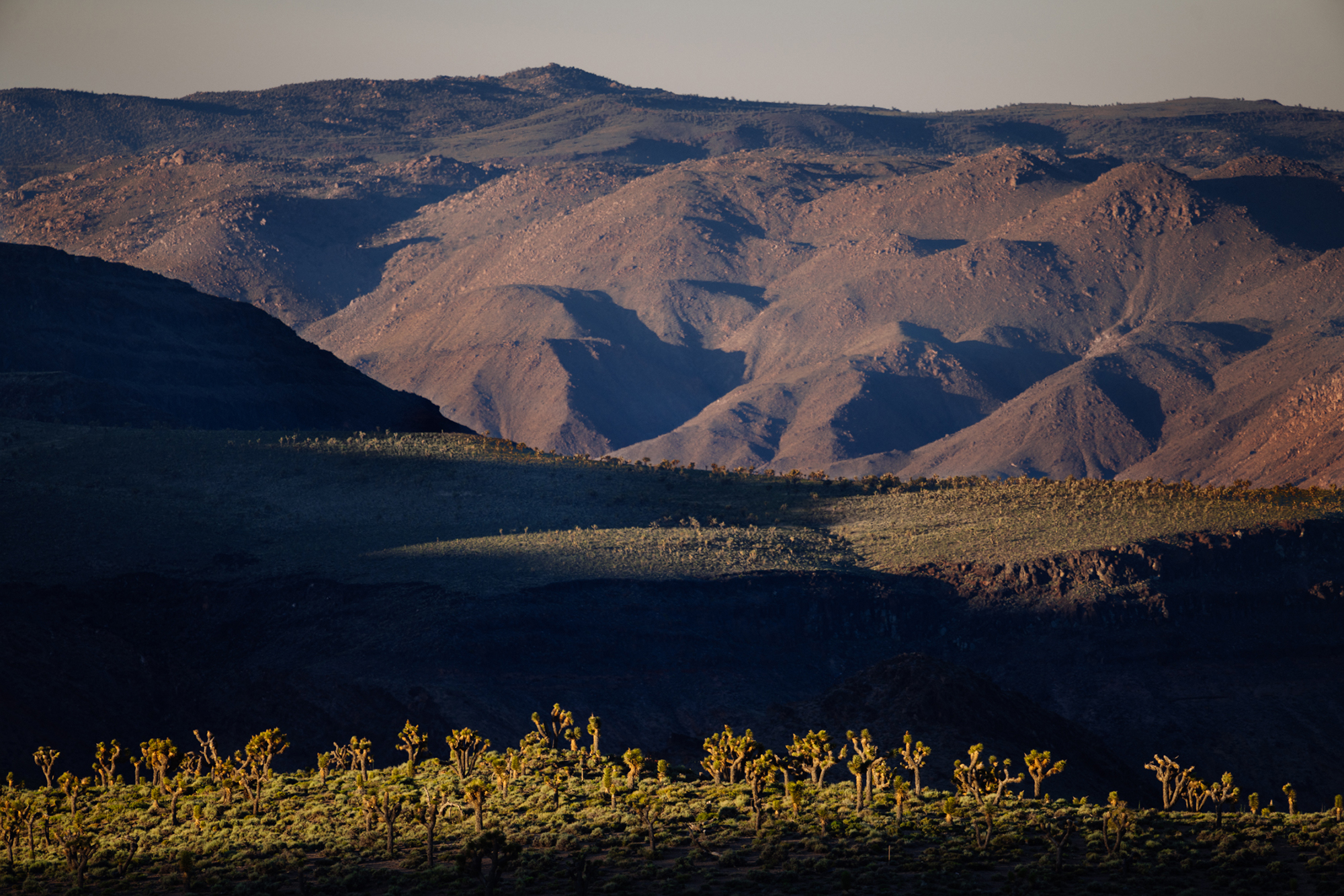 Island in the Sky: Protect Conglomerate Mesa – We Need Your Help! | The ...