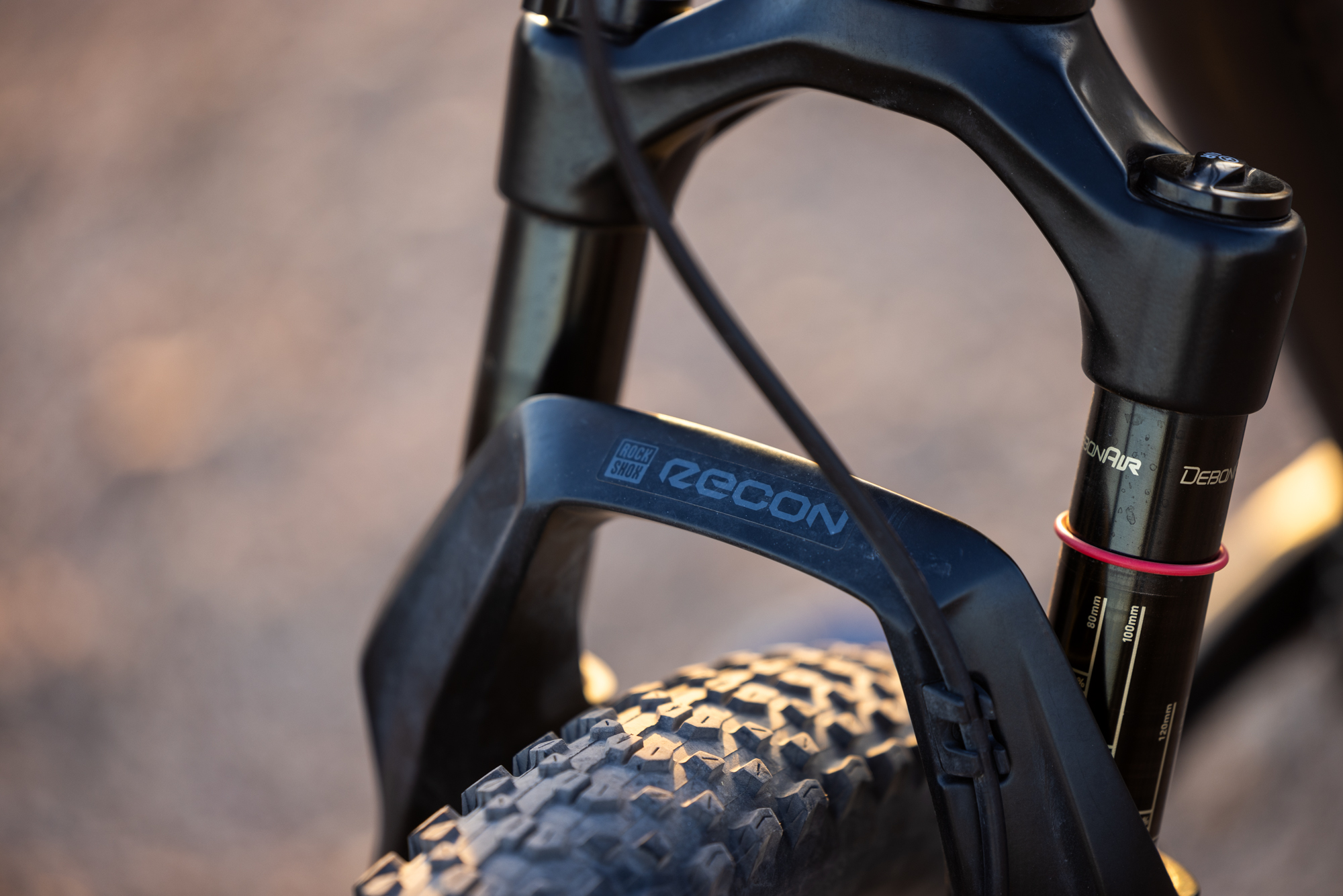 Rocky Mountain Reaper 26 Review: The Kids are Alright – Josh Weinberg | The Radavist | A group ...