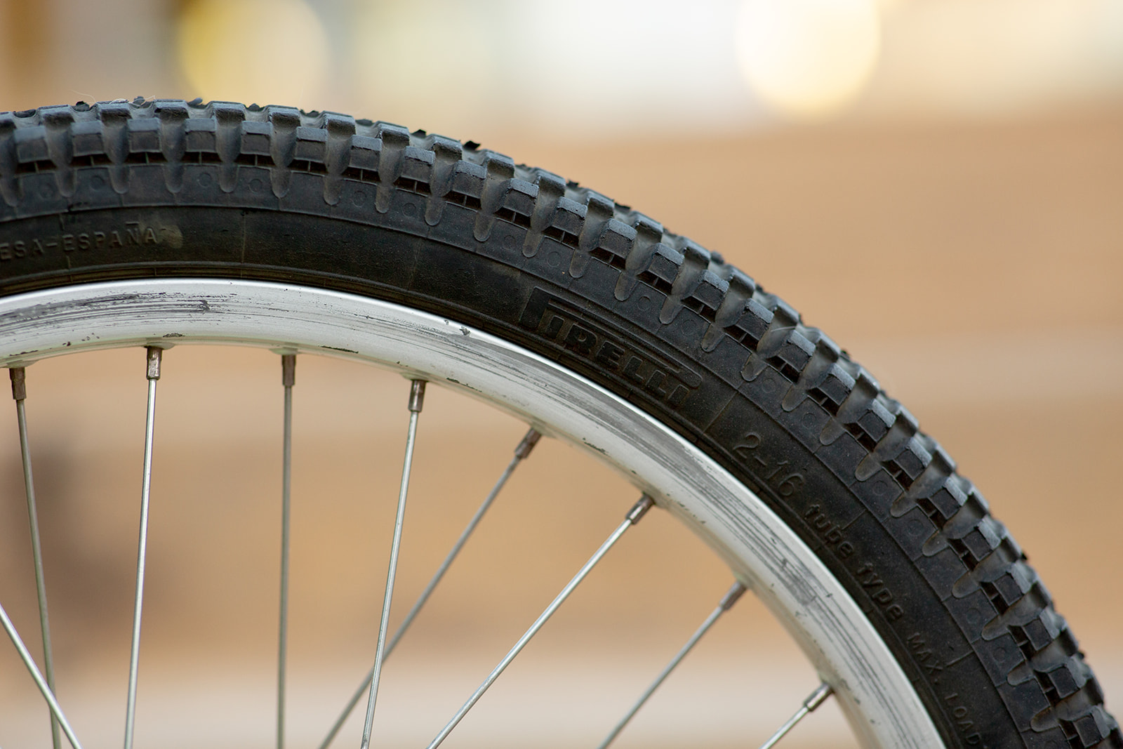 Unicorns are Real: The Story of an Elusive 1991 Yeti Tree Frog – Josh ...