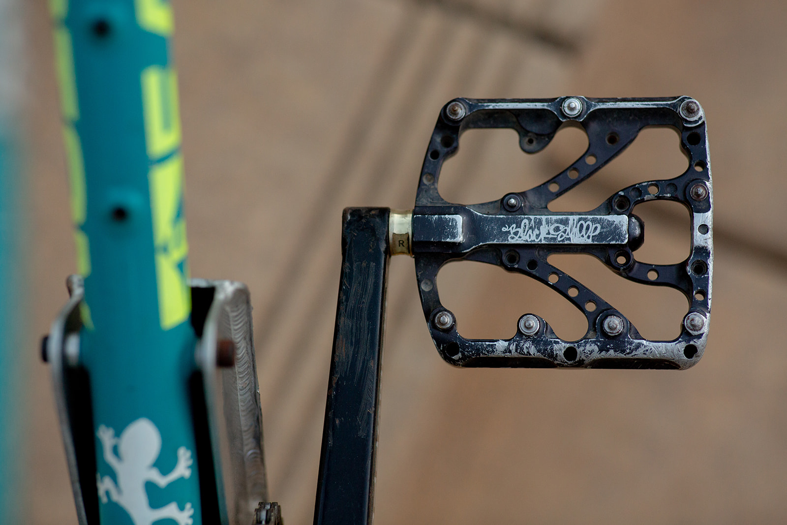 Unicorns are Real: The Story of an Elusive 1991 Yeti Tree Frog – Josh ...