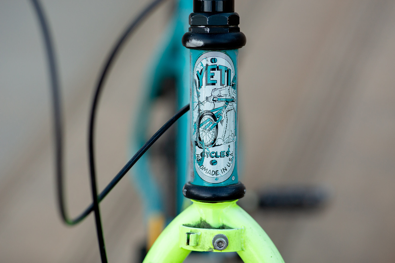 Unicorns are Real: The Story of an Elusive 1991 Yeti Tree Frog – Josh ...