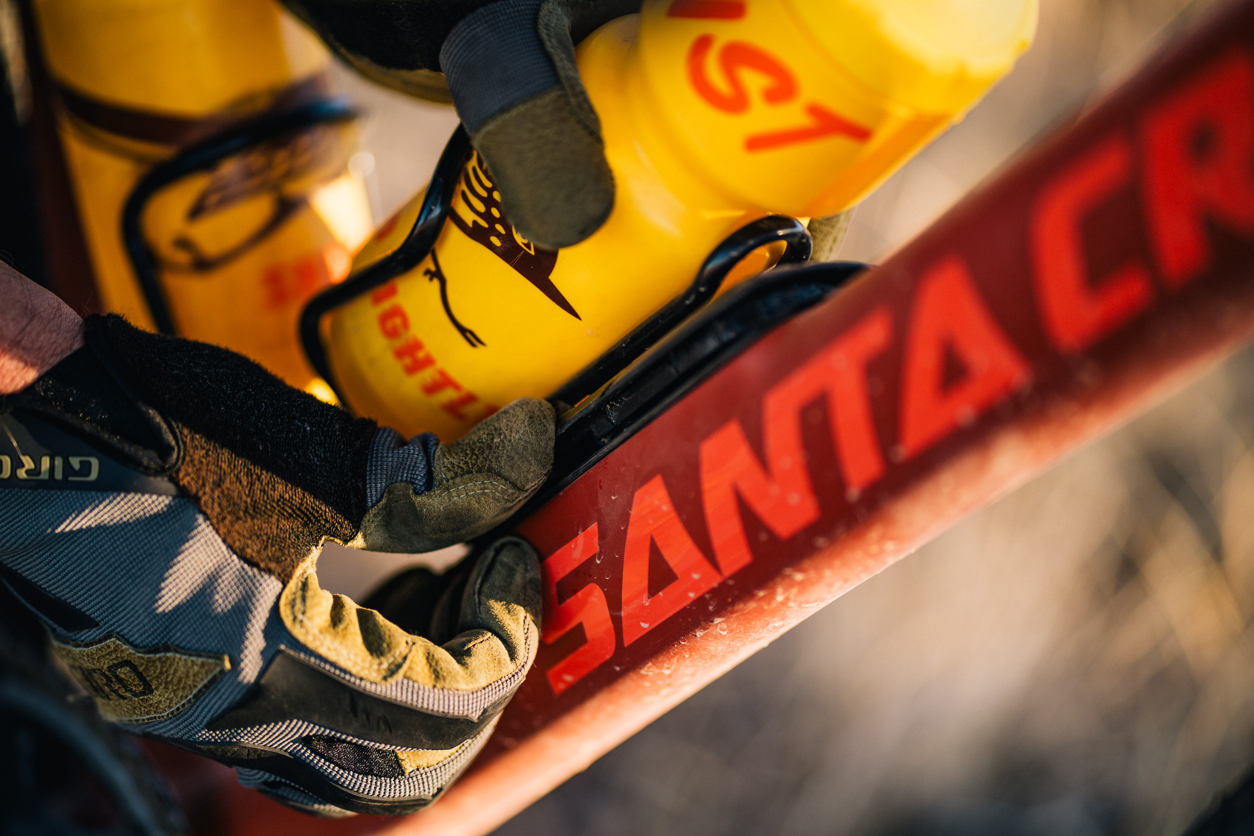 Stiggy Pop: A Review of the All-New 2023 Santa Cruz Stigmata – john ...