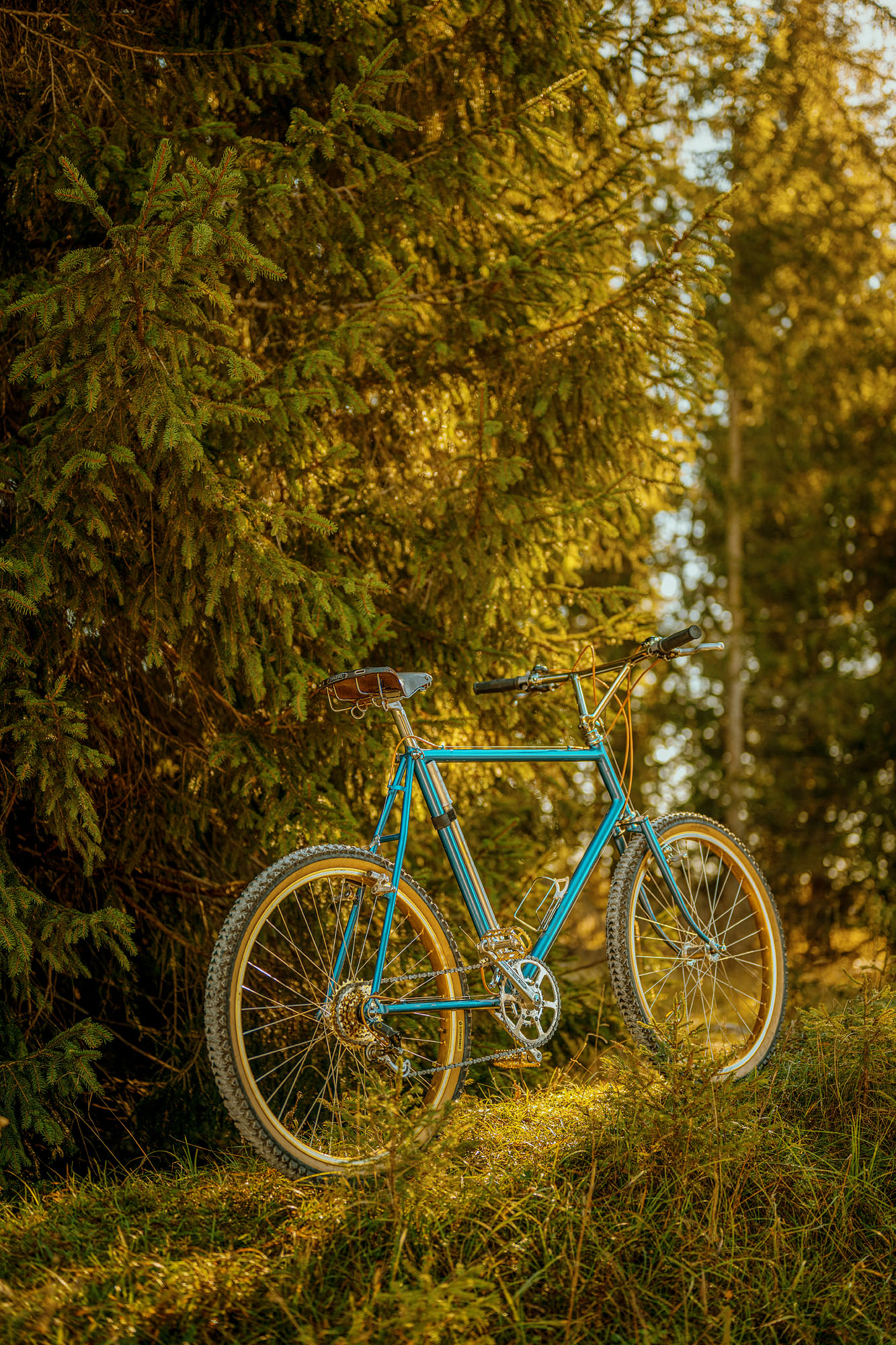 An Original MTB Saddle Gets Reissued: A Review of the Brooks B72 – john ...