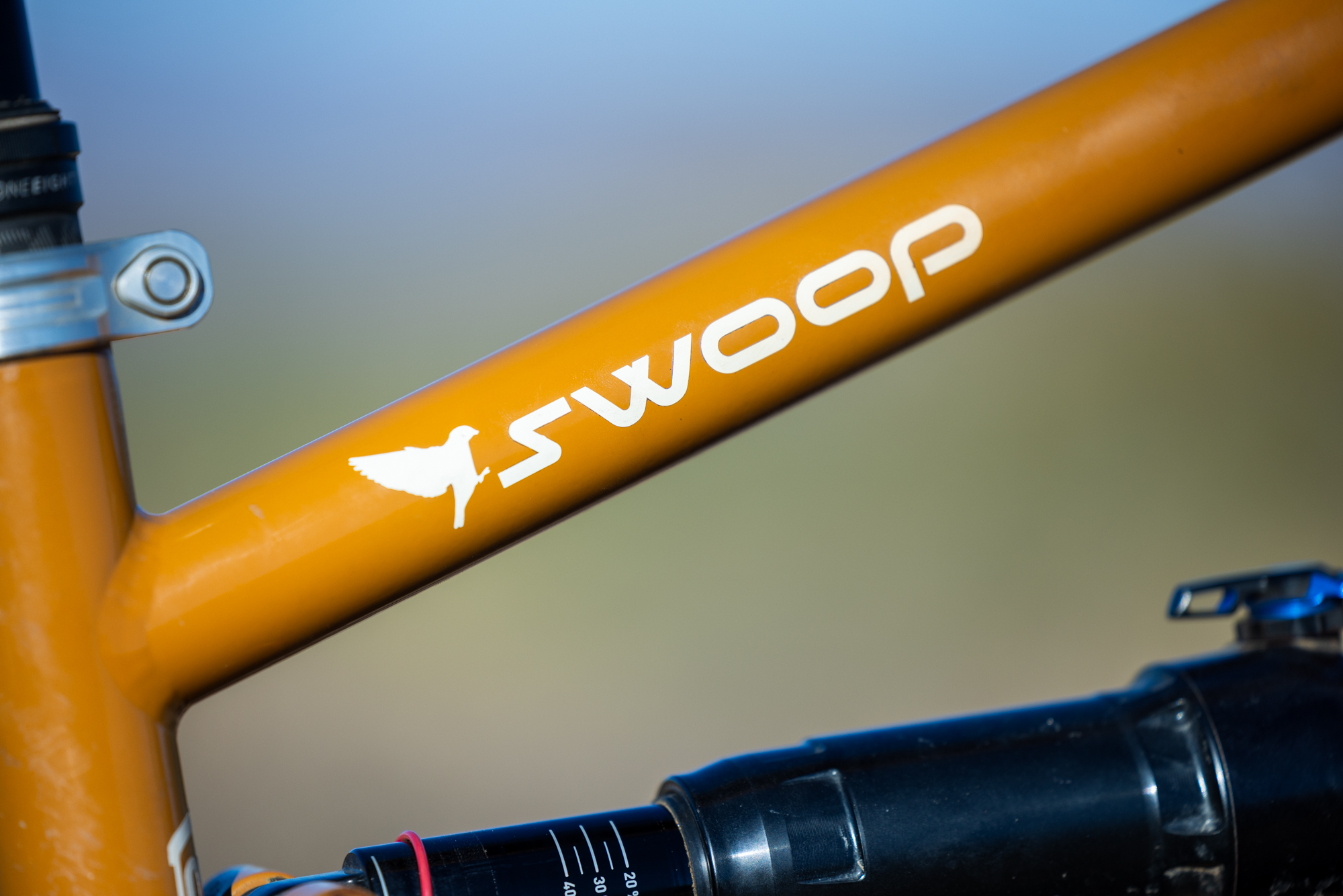 Double Feature Review: Alex and Nikki’s Starling Swoop Steel Full ...