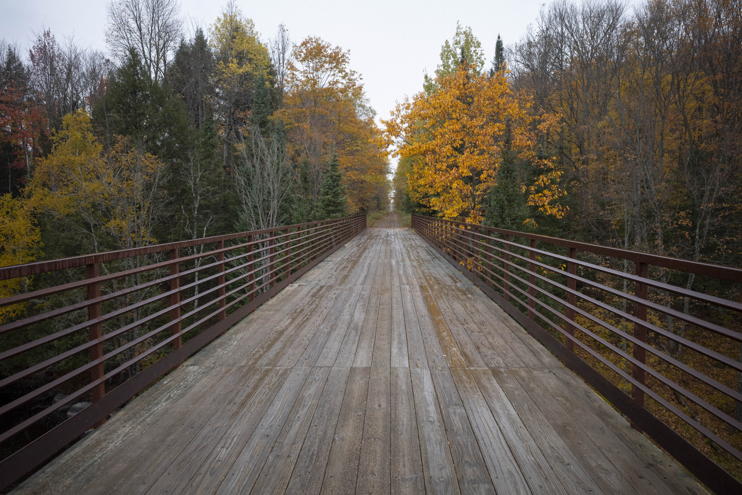 The New Familiar: Riding Wisconsin’s Tour de Nicolet Bikepacking Route ...