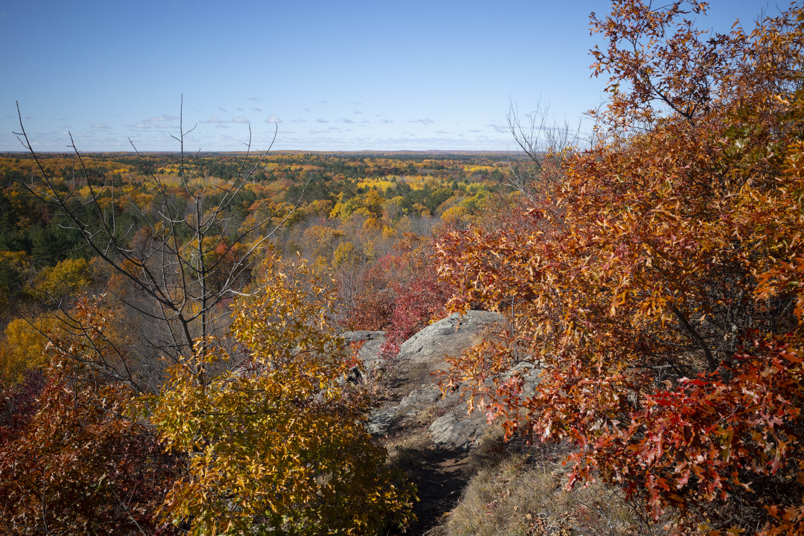 The New Familiar: Riding Wisconsin’s Tour de Nicolet Bikepacking Route ...