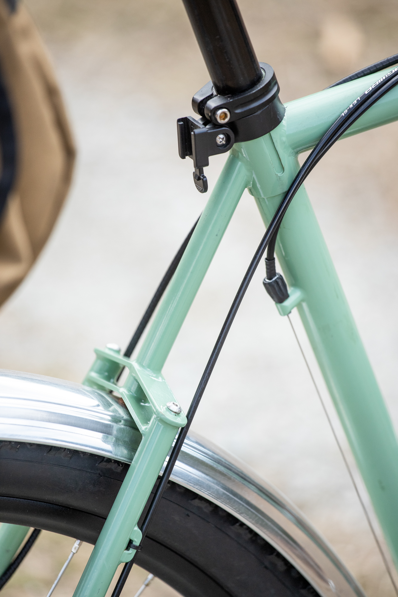 The Search for the Perfect Noodle: An Elephant Bikes National Forest ...