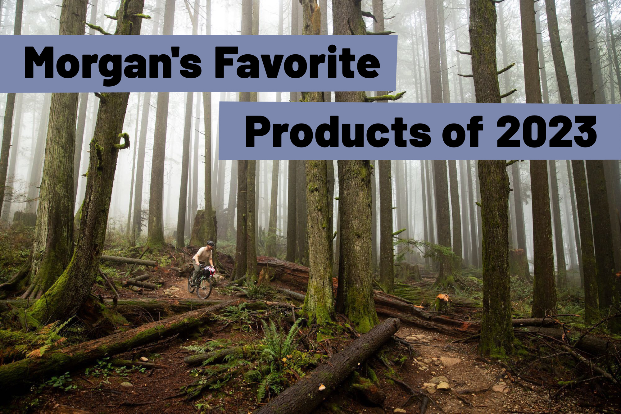 Morgan’s Favorite Products of 2023 – Morgan Taylor | The Radavist | A ...