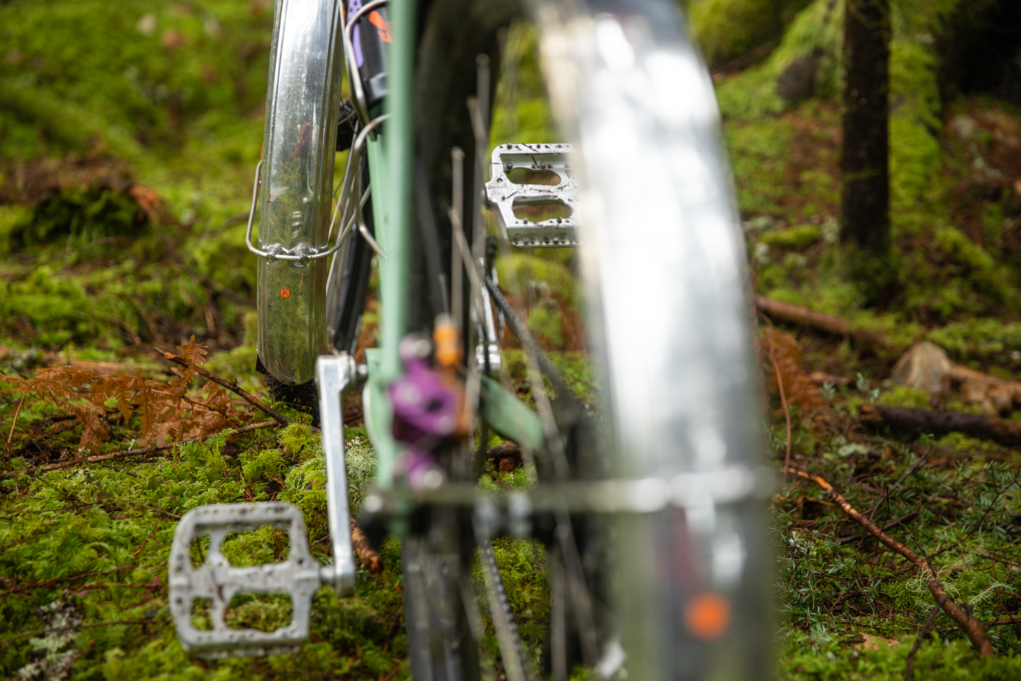 Morgan’s Favorite Products of 2023 – Morgan Taylor | The Radavist | A ...