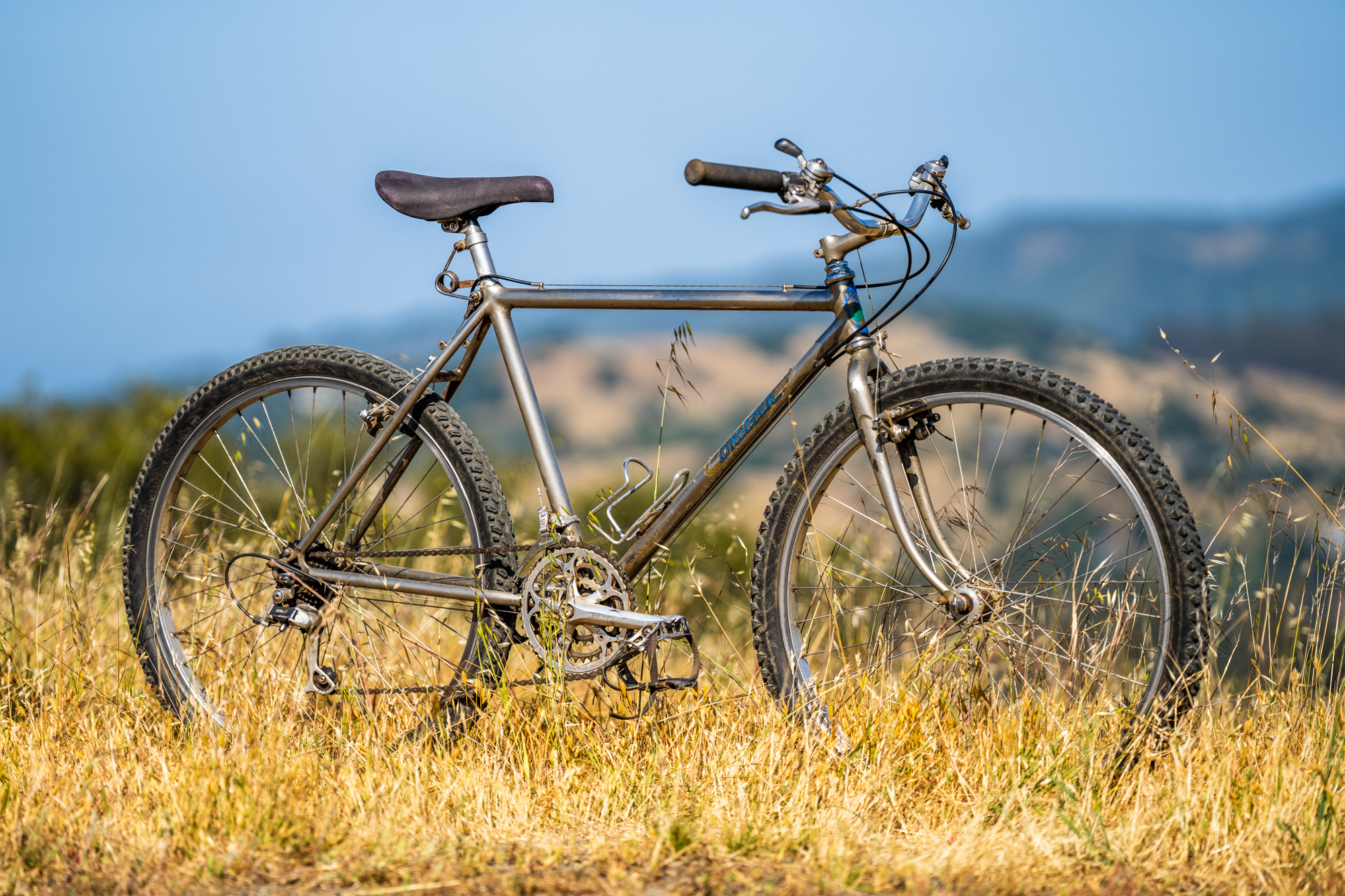 Like a Fine Wine: Wende Cragg’s Custom 1983 Breezer Series III – Wende ...