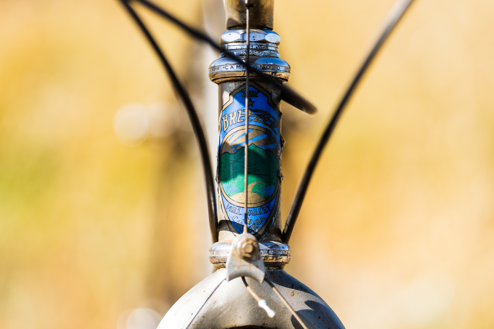 Like a Fine Wine: Wende Cragg’s Custom 1983 Breezer Series III – Wende ...