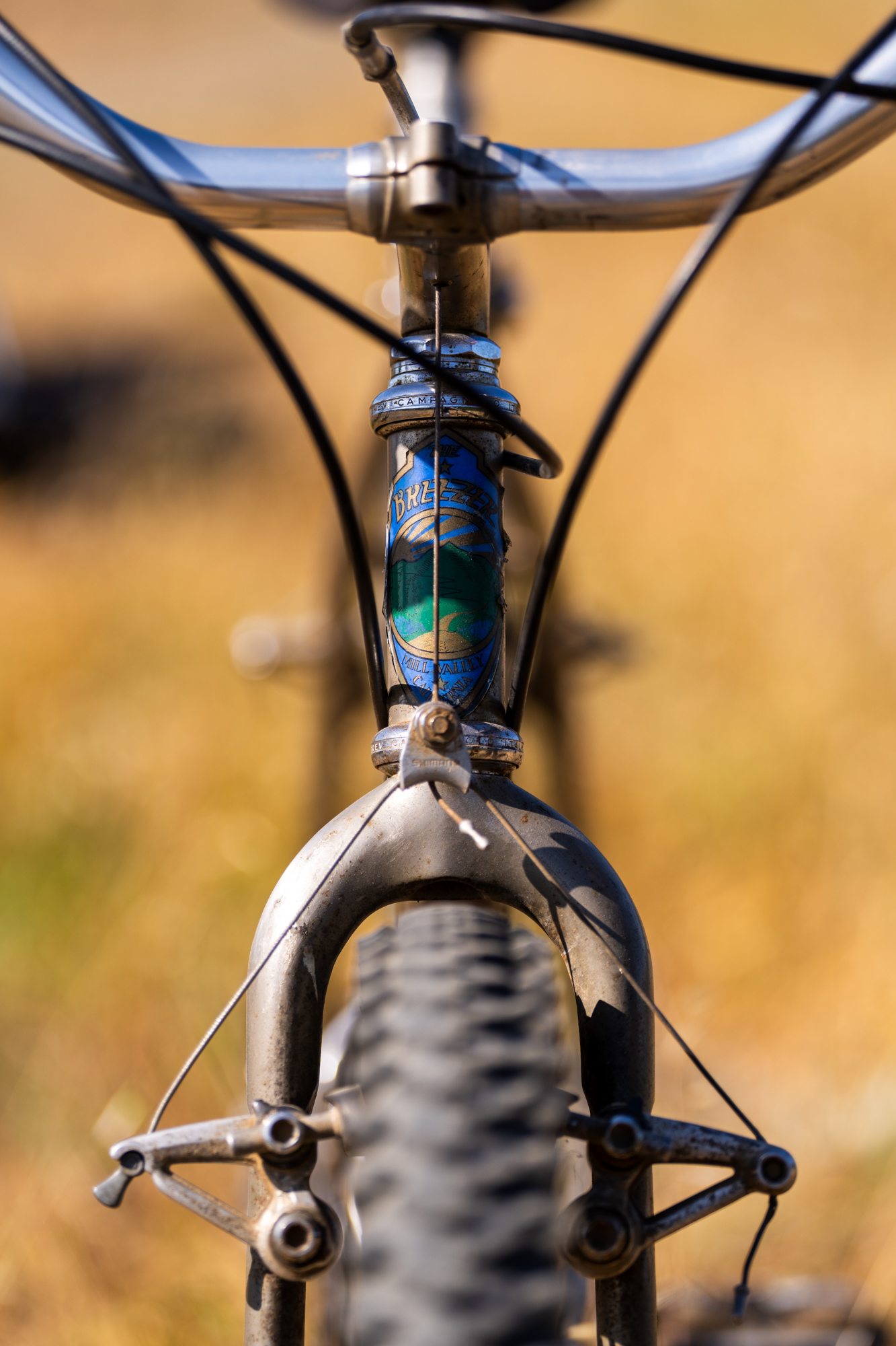 Like a Fine Wine: Wende Cragg’s Custom 1983 Breezer Series III – Wende ...
