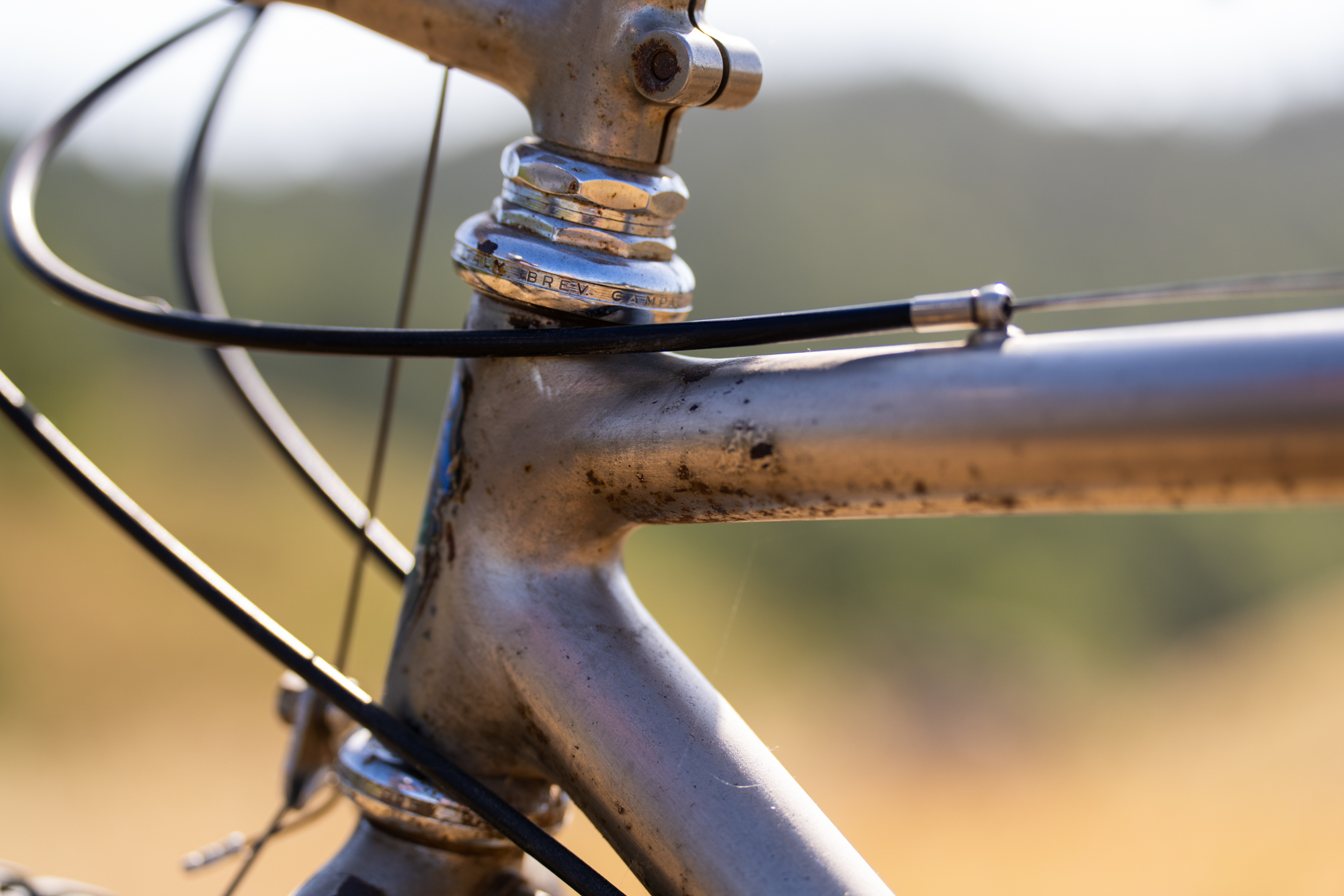 Like a Fine Wine: Wende Cragg’s Custom 1983 Breezer Series III – Wende ...