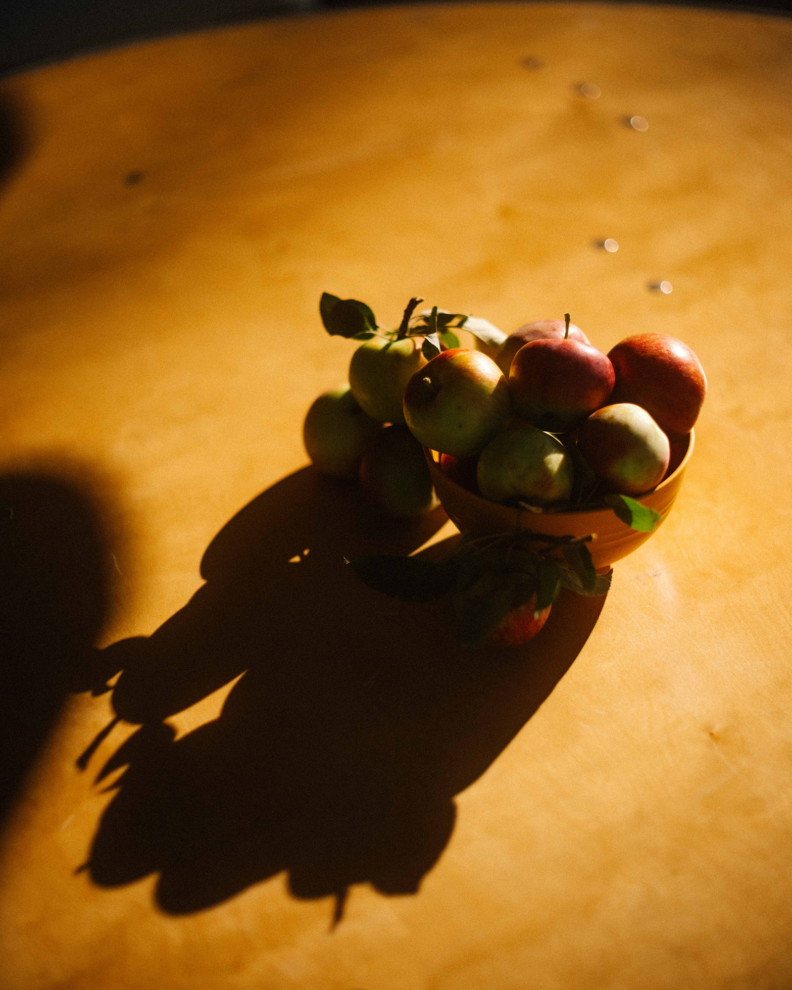 A Homecoming at the 2023 Hodag Country Ramble – Jeff Frane & Alex Horner | The Radavist | A ...