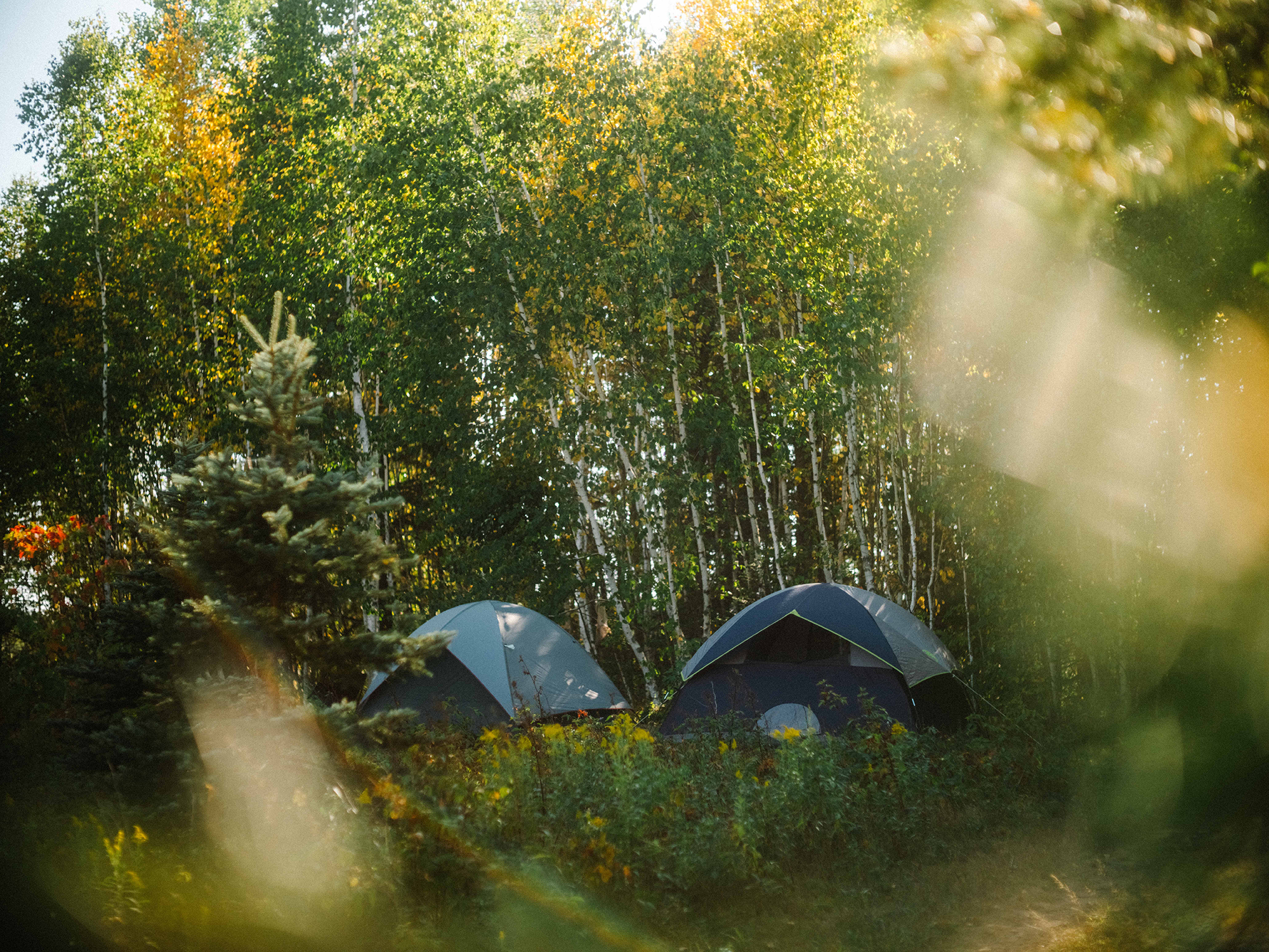 A Homecoming at the 2023 Hodag Country Ramble – Jeff Frane & Alex Horner | The Radavist | A ...