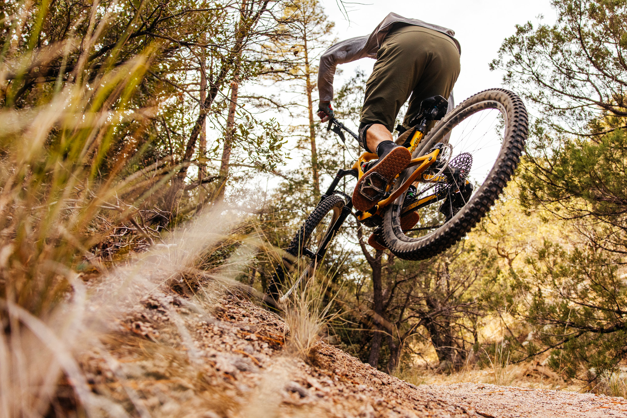 Revel Bikes is Closing – The Radavist | The Radavist | A group of ...