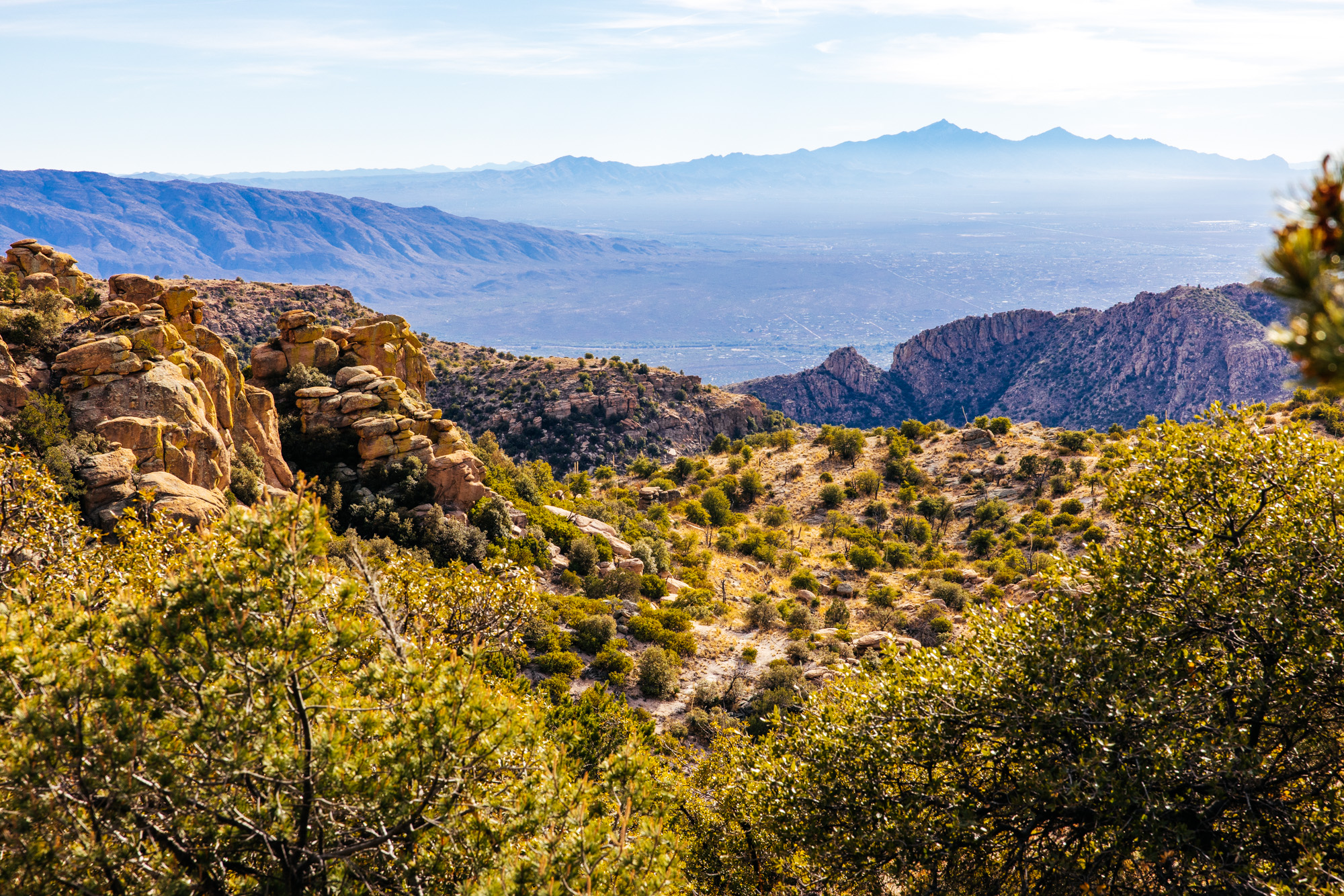 More Than It Seems: A 2024 Revel Rascal Review – Travis Engel & John ...